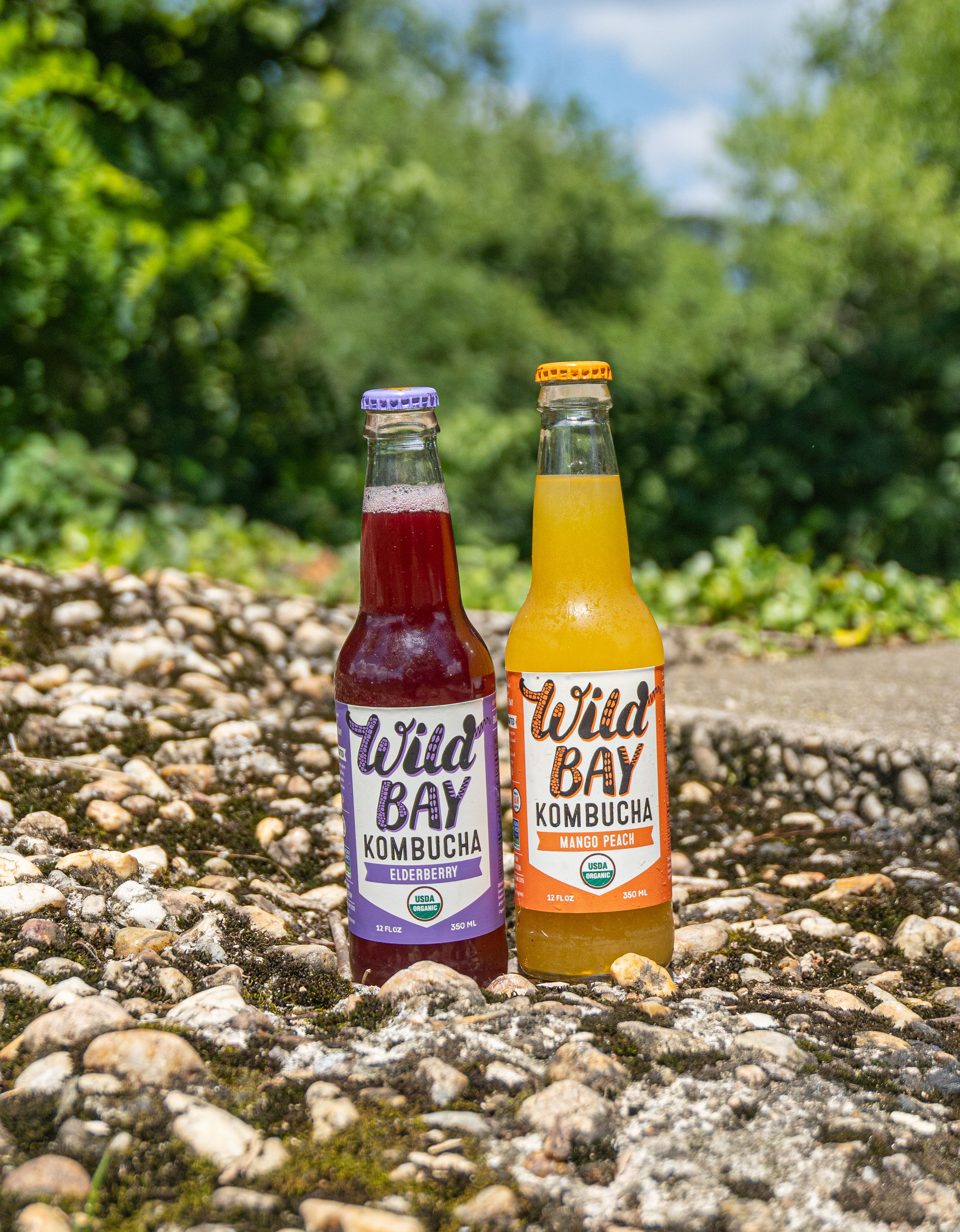 Bottles of Wild Bay Kambucha on a Rocky Path · Free Stock Photo