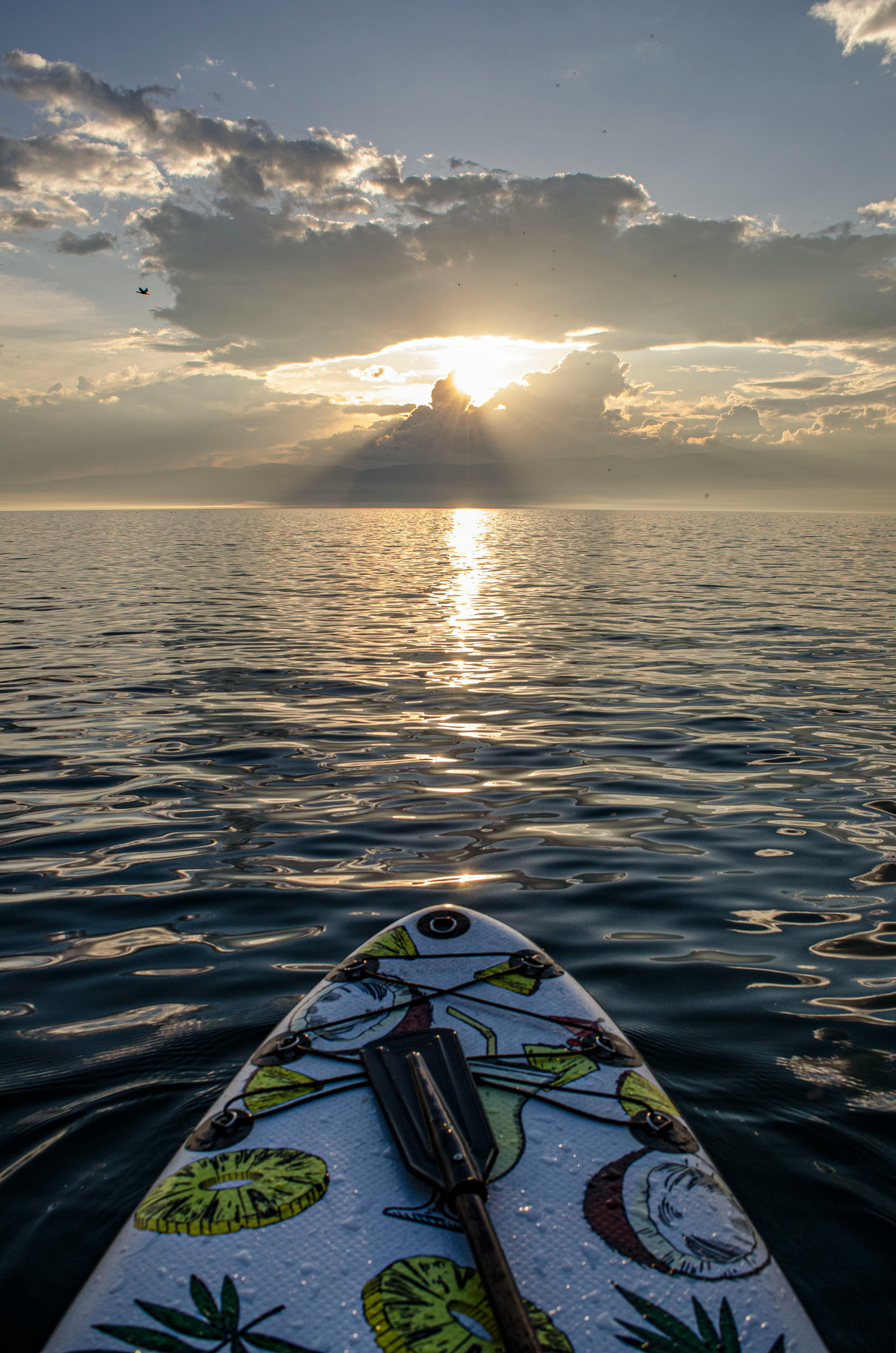 Paddle Board in the Sea · Free Stock Photo