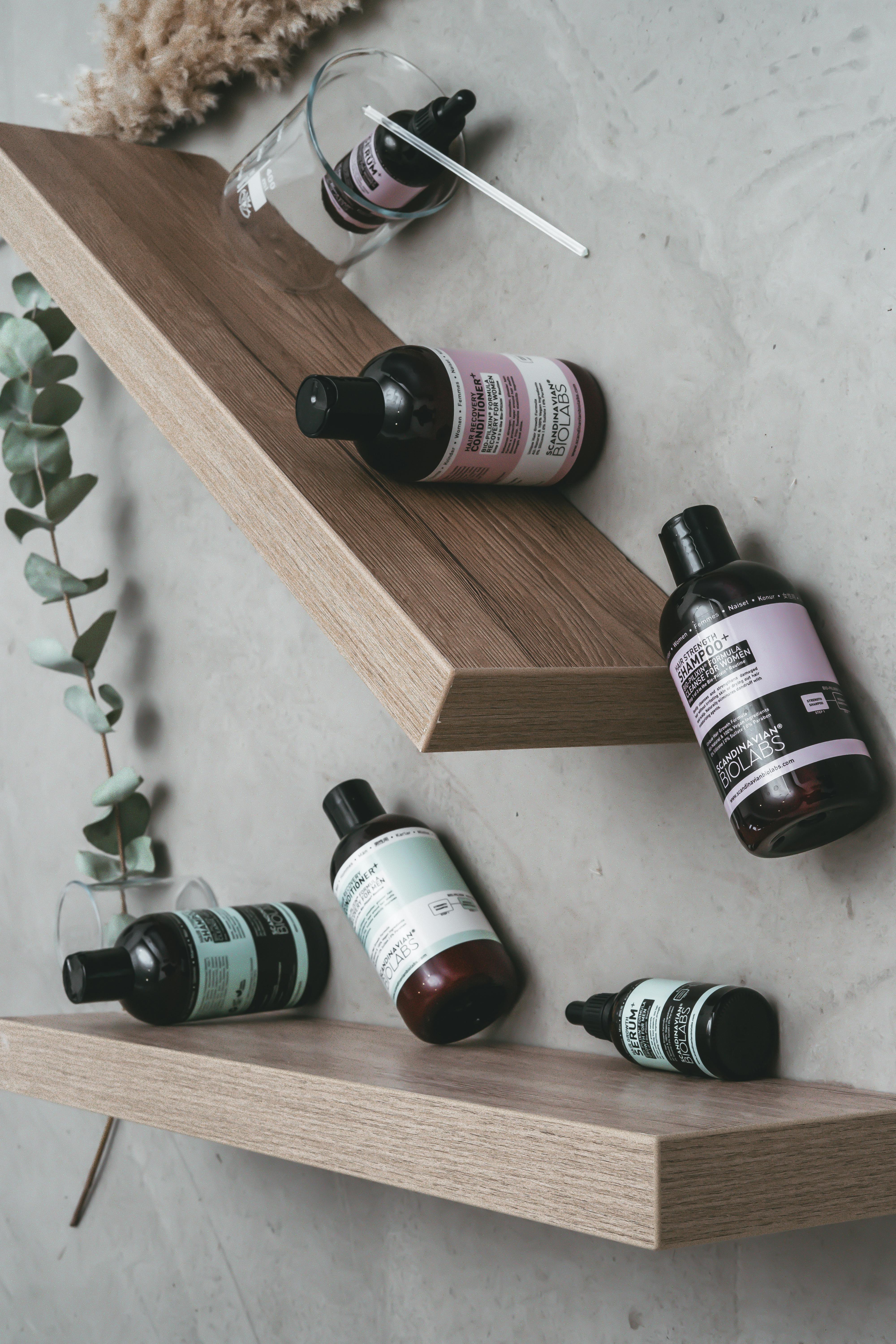 Free Taste Signage · Free Stock Photo