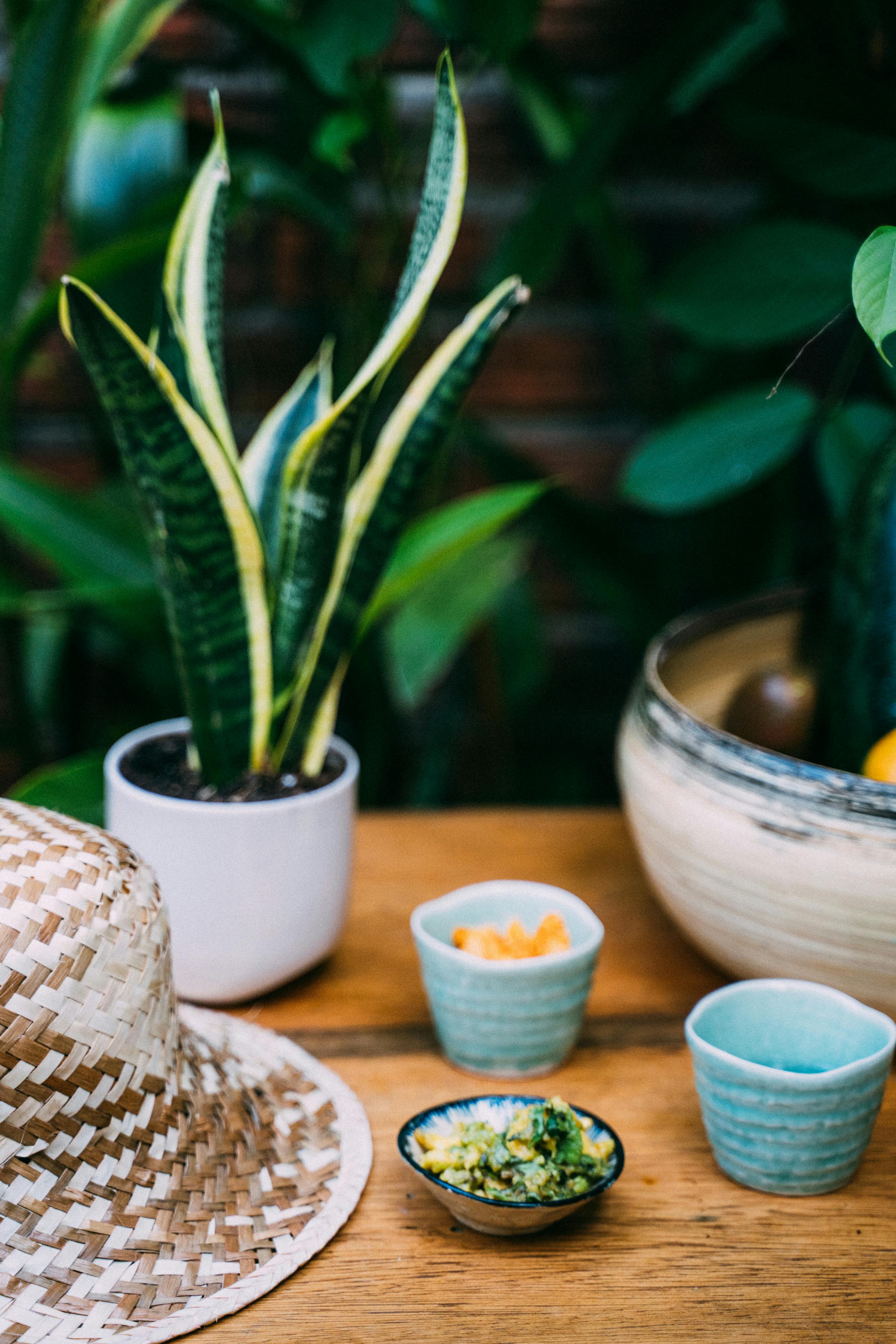 Native Hat and Indoor Plant on Wooden Table · Free Stock Photo