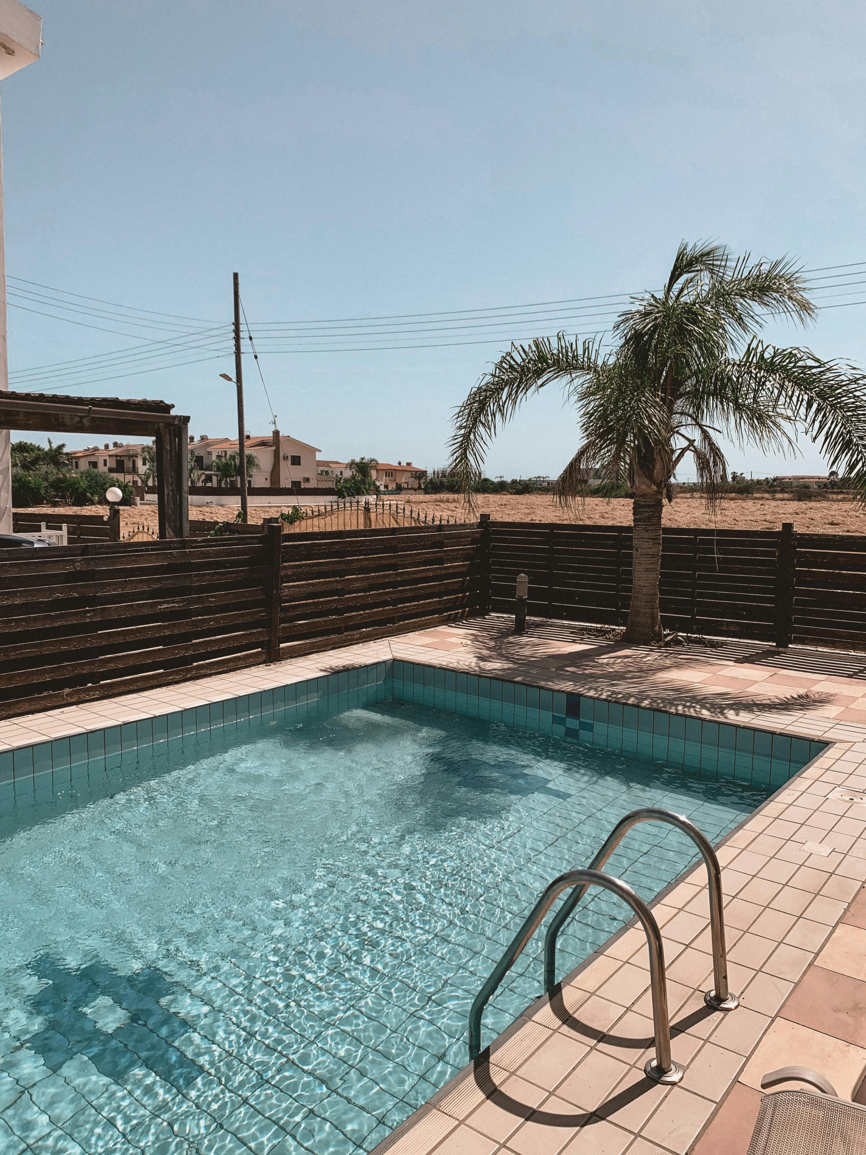 Palm Tree Next to the Fenced Swimming Pool · Free Stock Photo