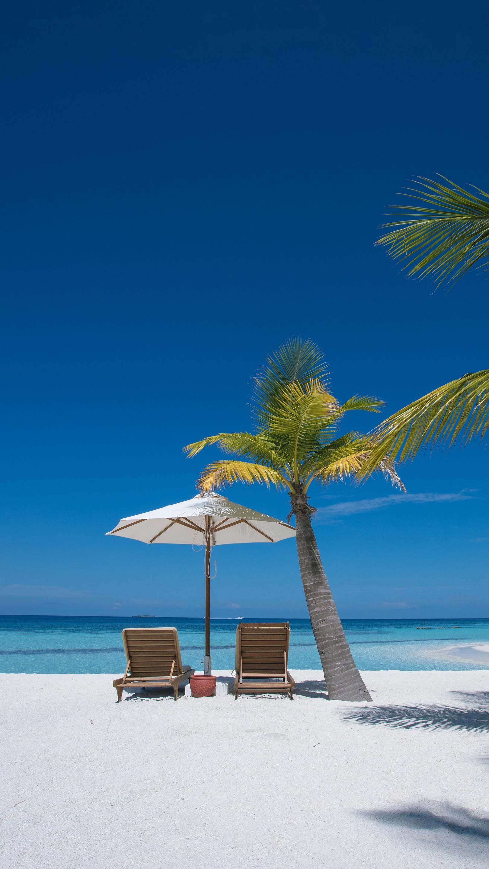 A Photo of Beachfront View Under Blue Sky · Free Stock Photo