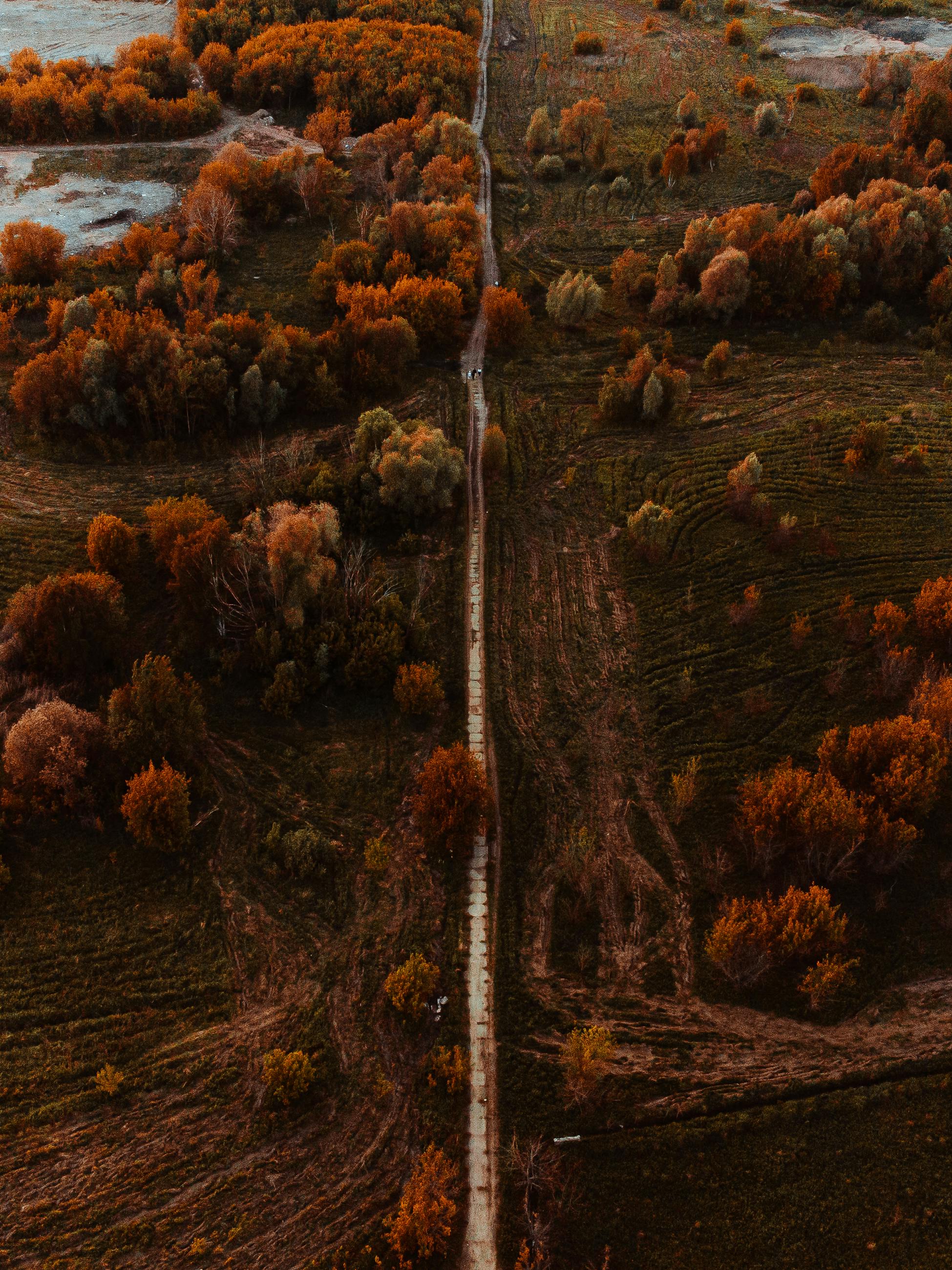 Aerial Shot of a Road In Between Trees During Autumn Season · Free ...