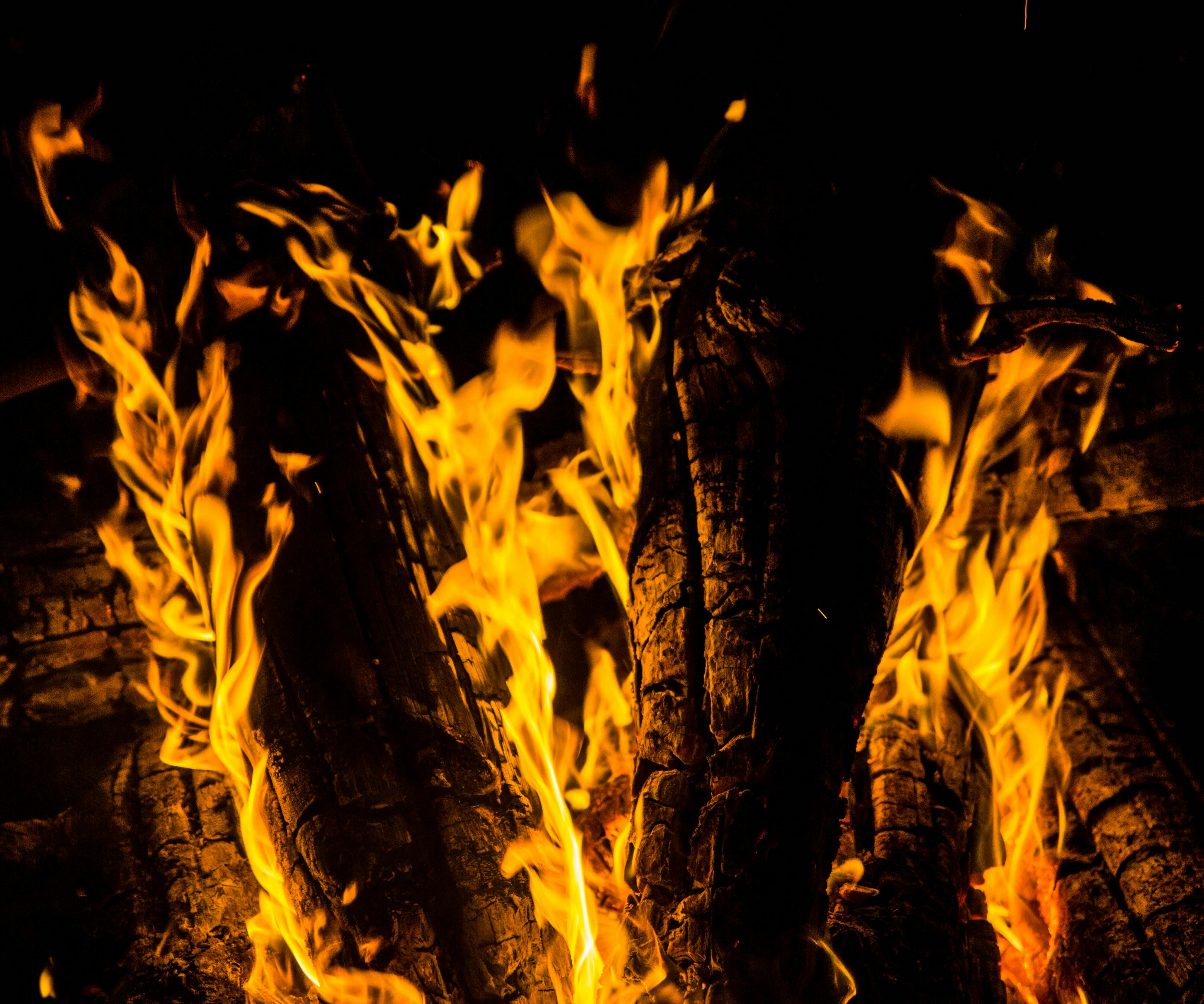 Burning Firewood · Free Stock Photo