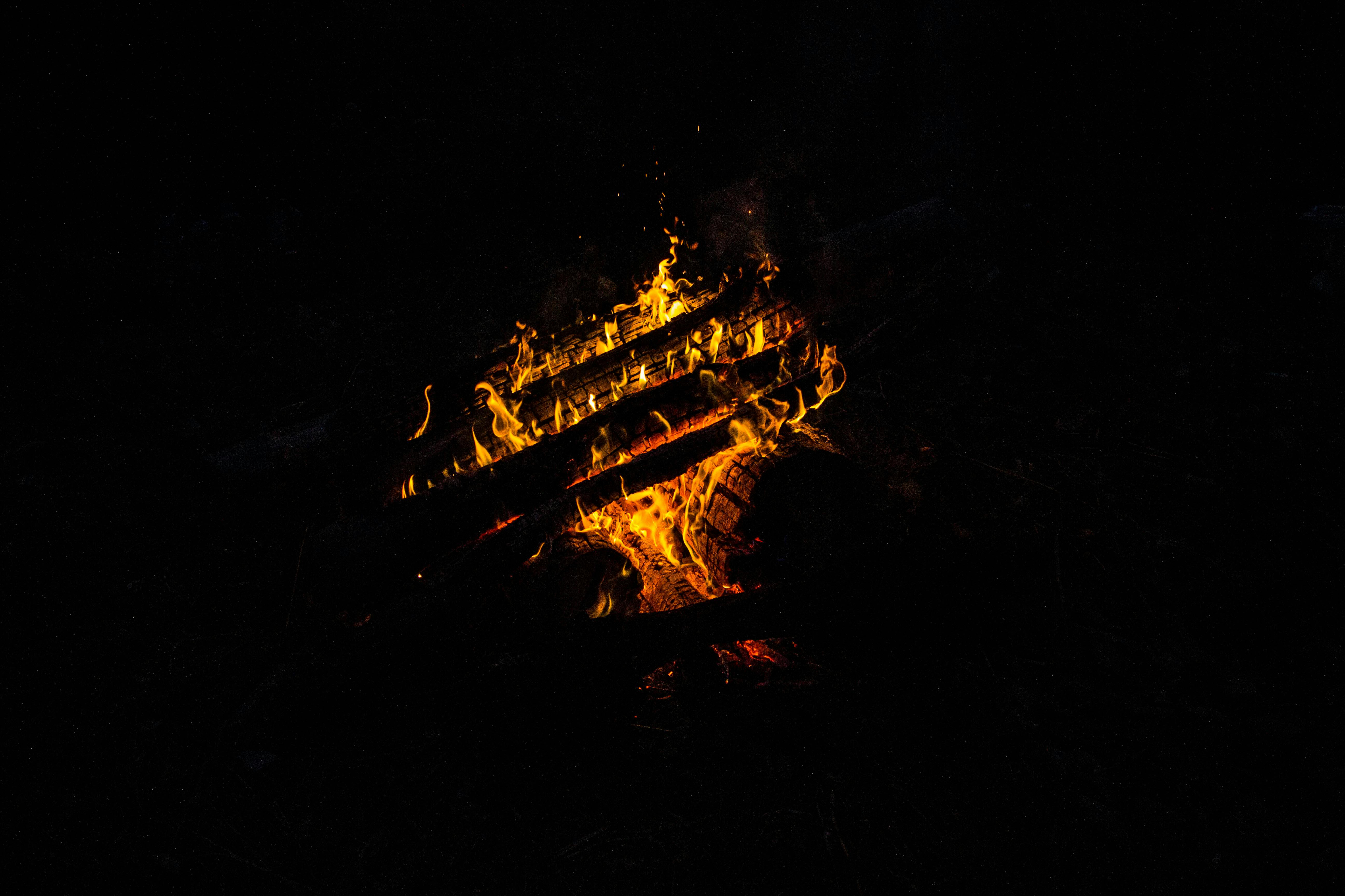 Campfire at Night · Free Stock Photo