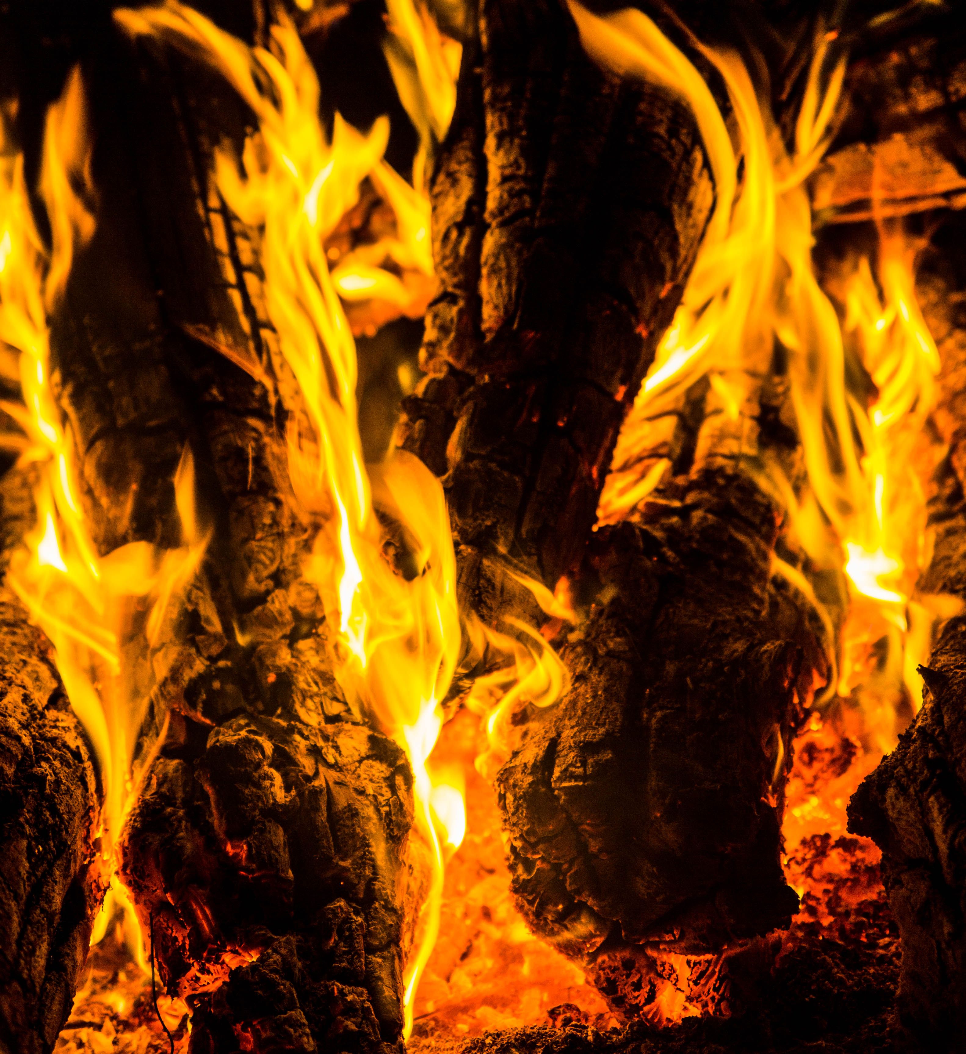 Embers on Burning Wood · Free Stock Photo