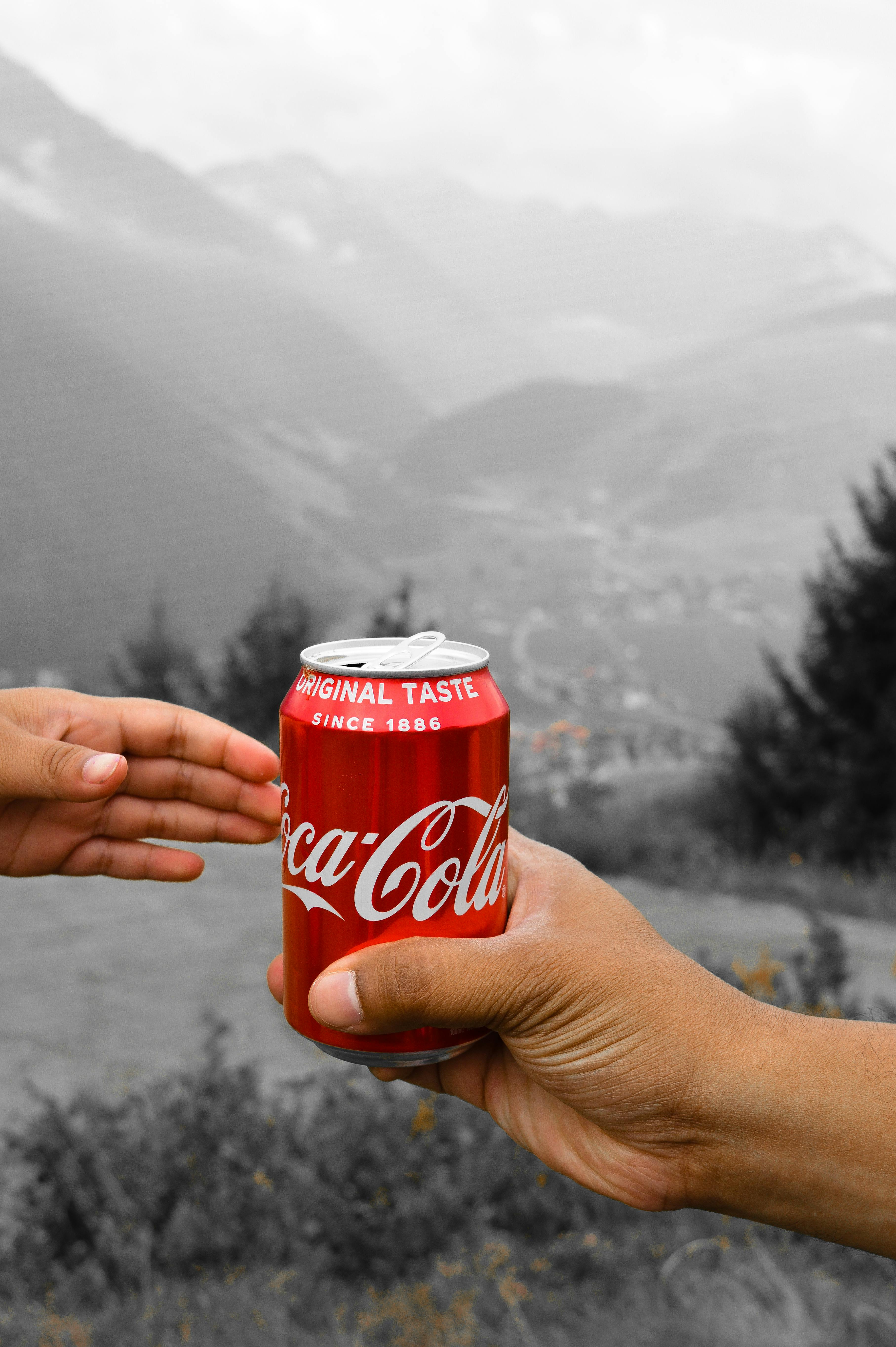 Coke Can White Background Photos, Download The BEST Free Coke Can White ...