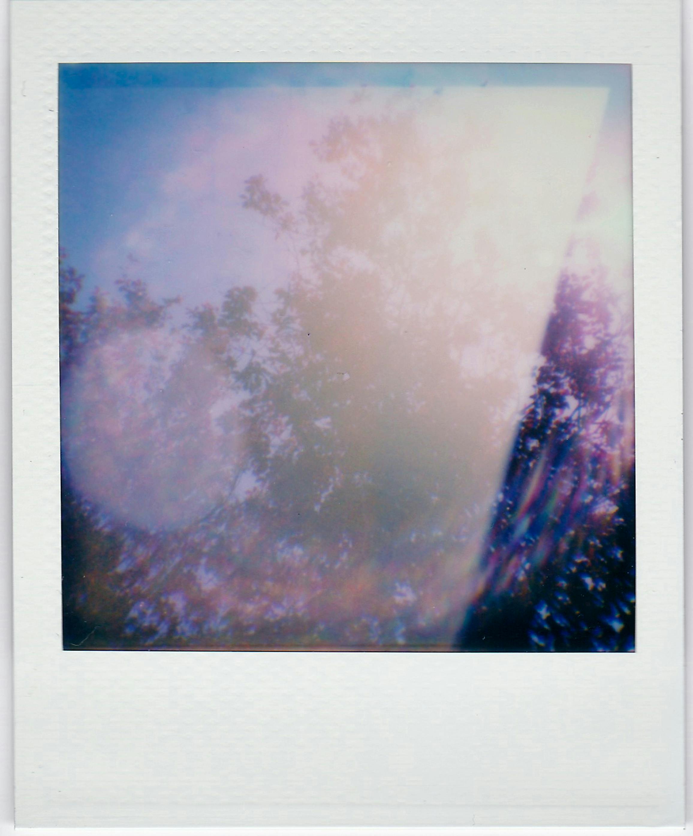 A Damaged Polaroid Picture of a Woman · Free Stock Photo