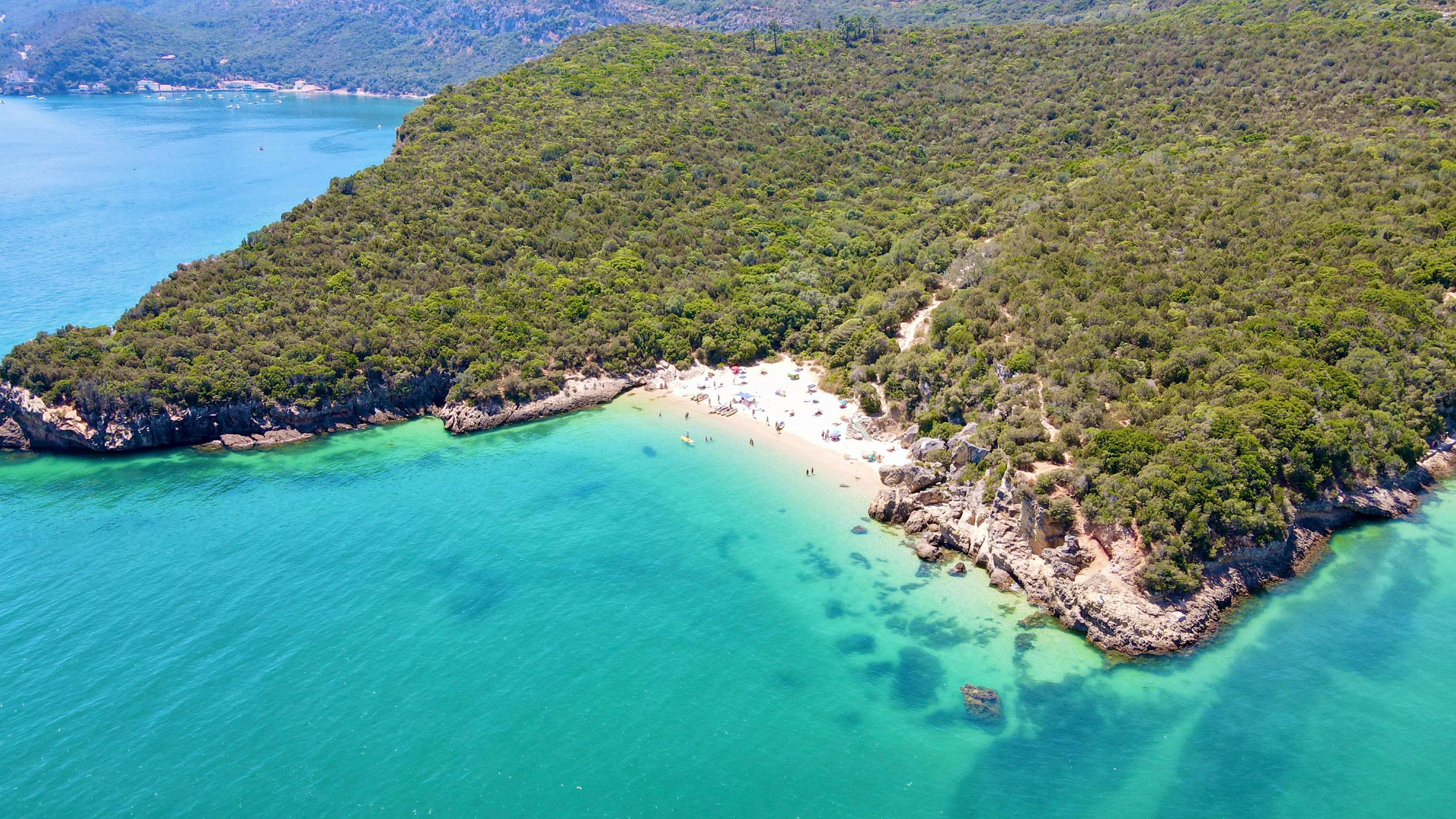 Aerial View of a Beach · Free Stock Photo