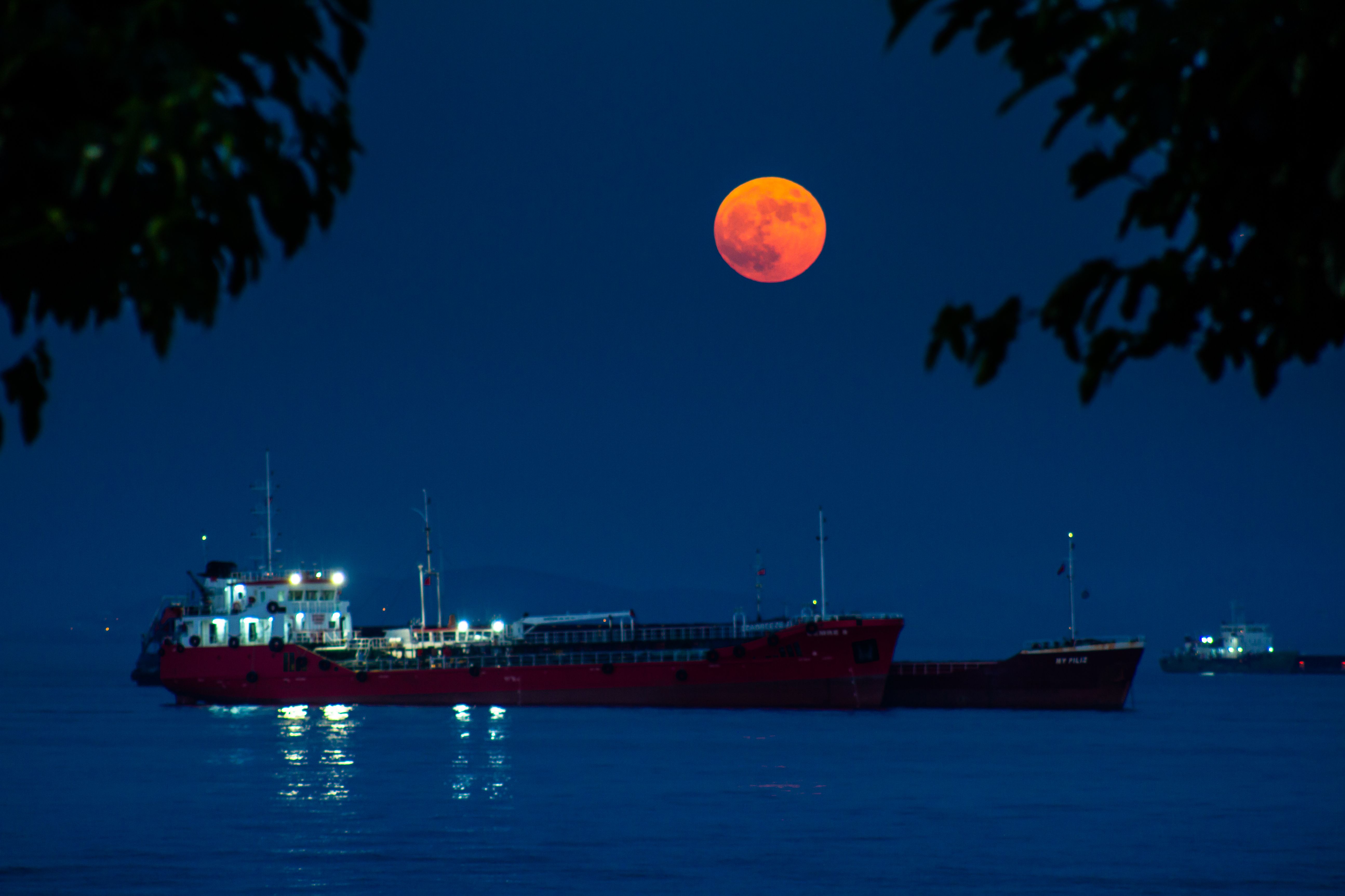 9,000+ Best Blood Moon Photos · 100% Free Download · Pexels Stock Photos
