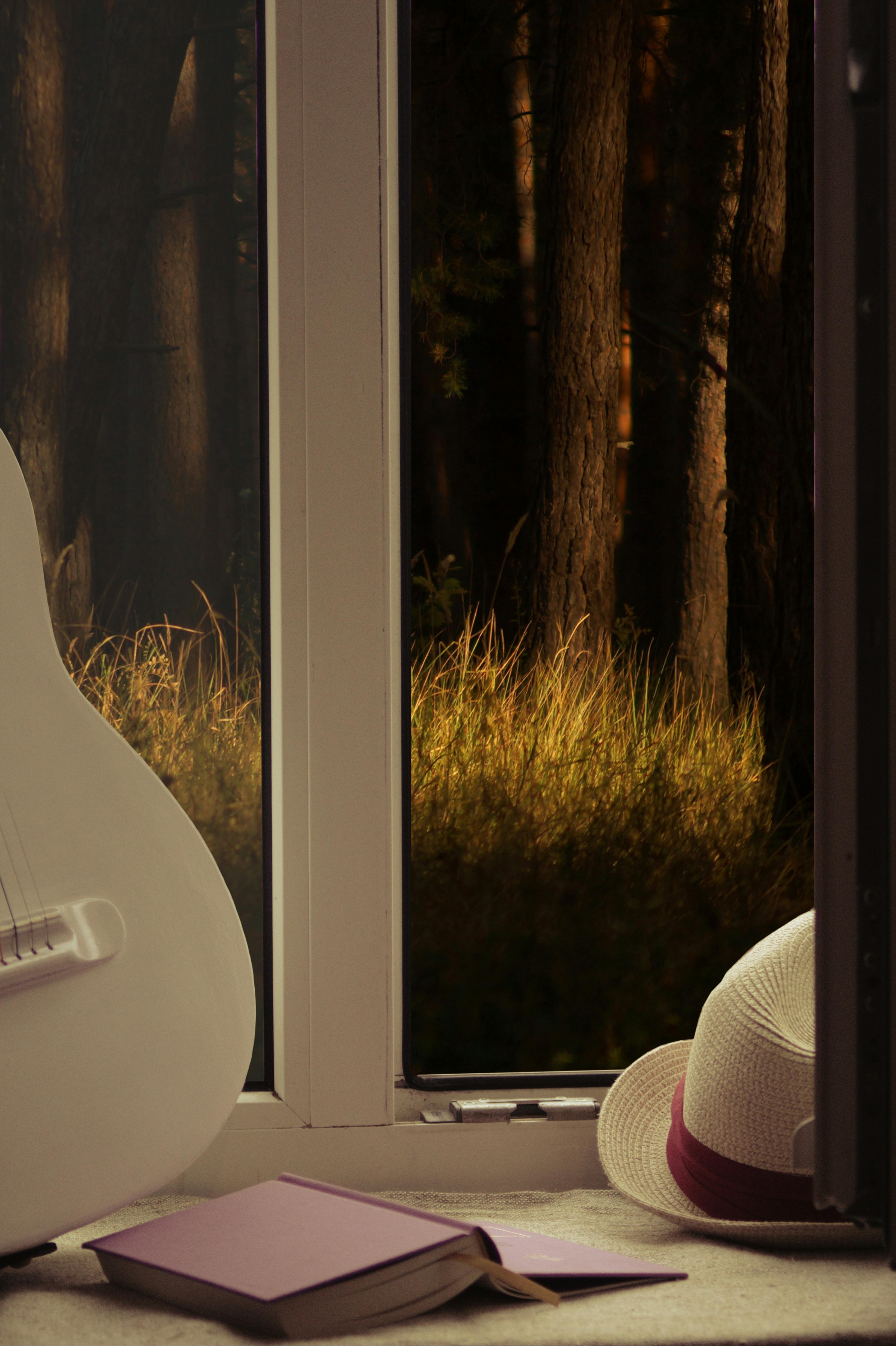 Grass behind Window · Free Stock Photo