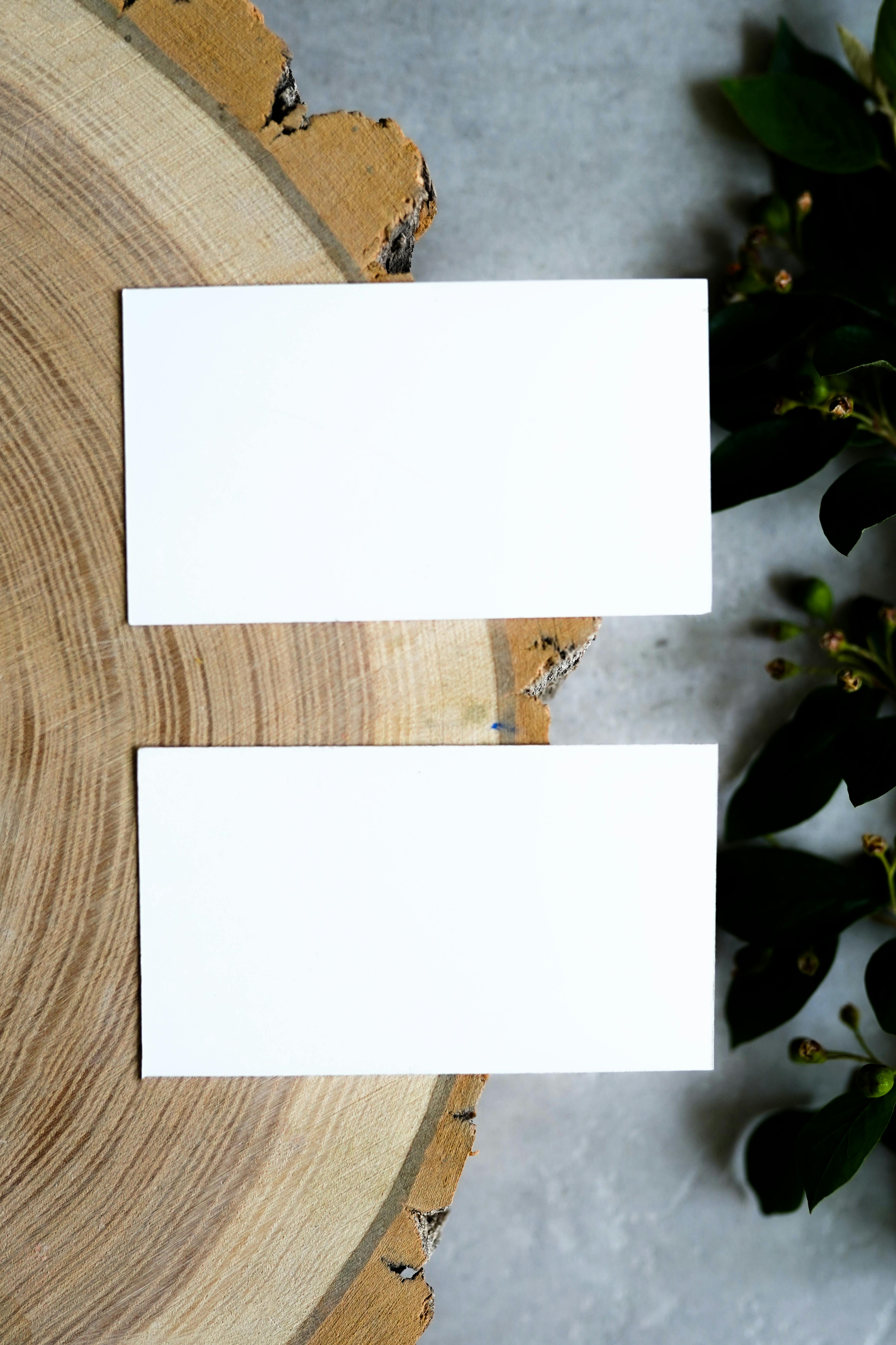 Placement Images Photos, Download The BEST Free Placement Images Stock ...