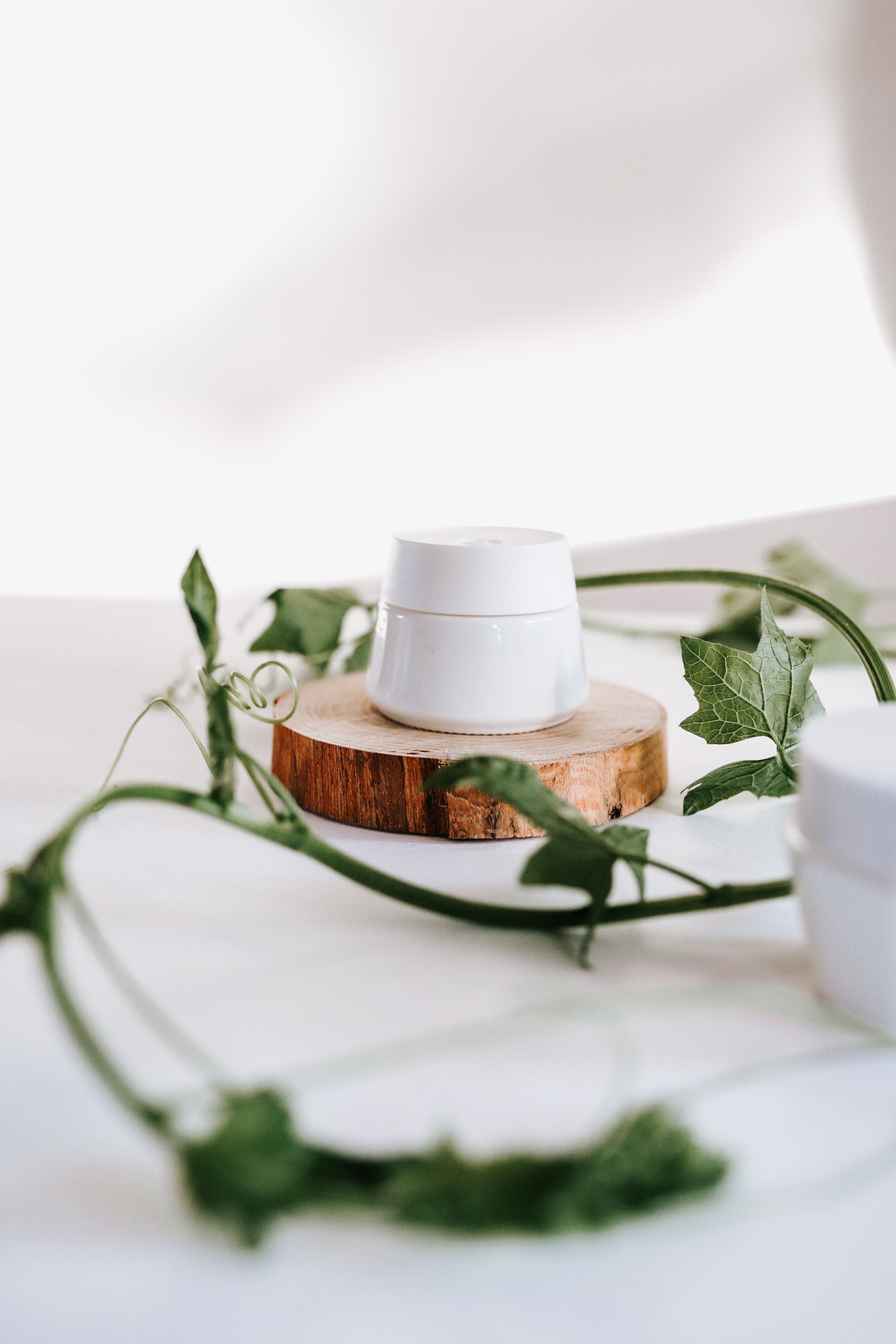 Device and Plant · Free Stock Photo