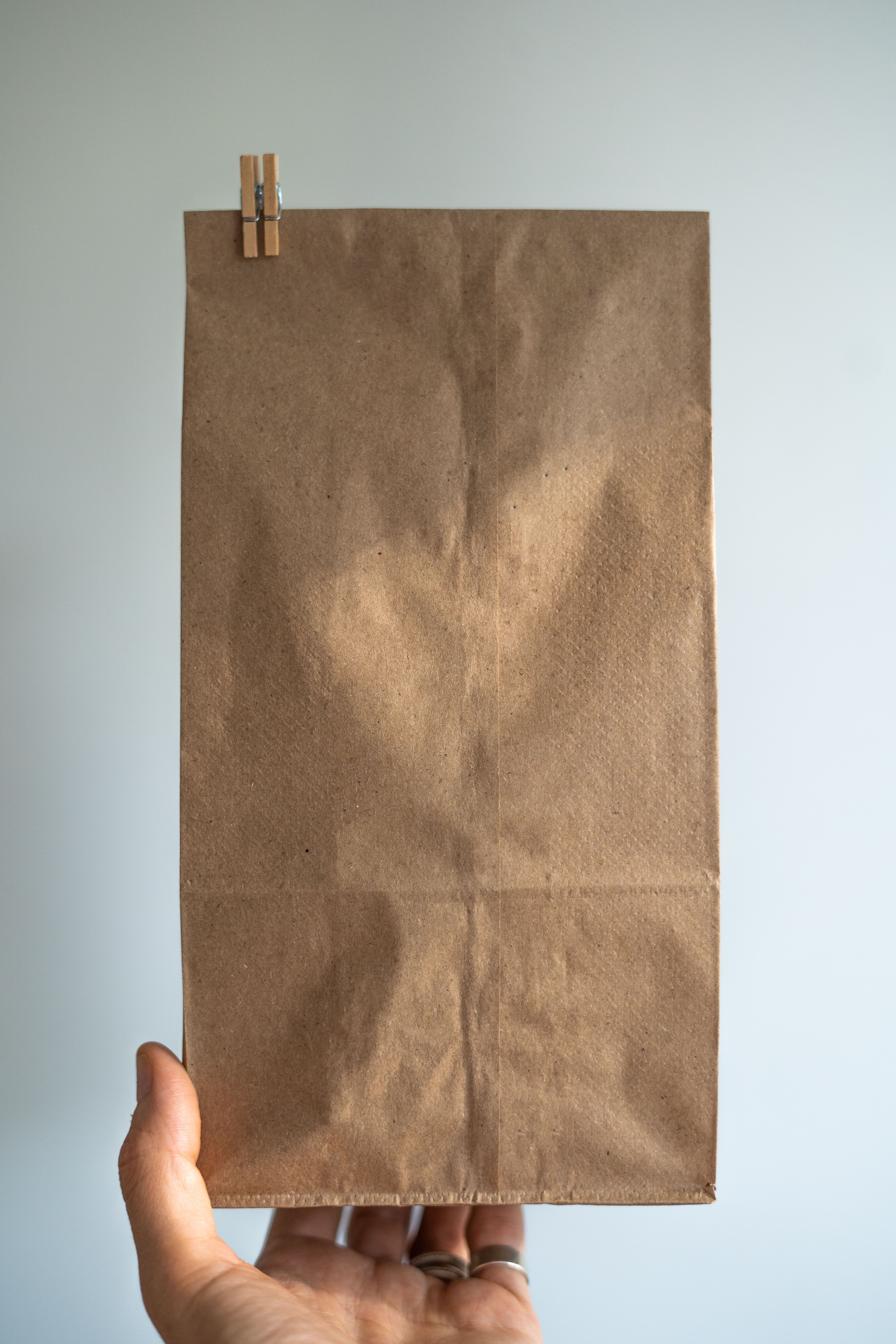Plain Brown Bag Photos, Download The BEST Free Plain Brown Bag Stock ...