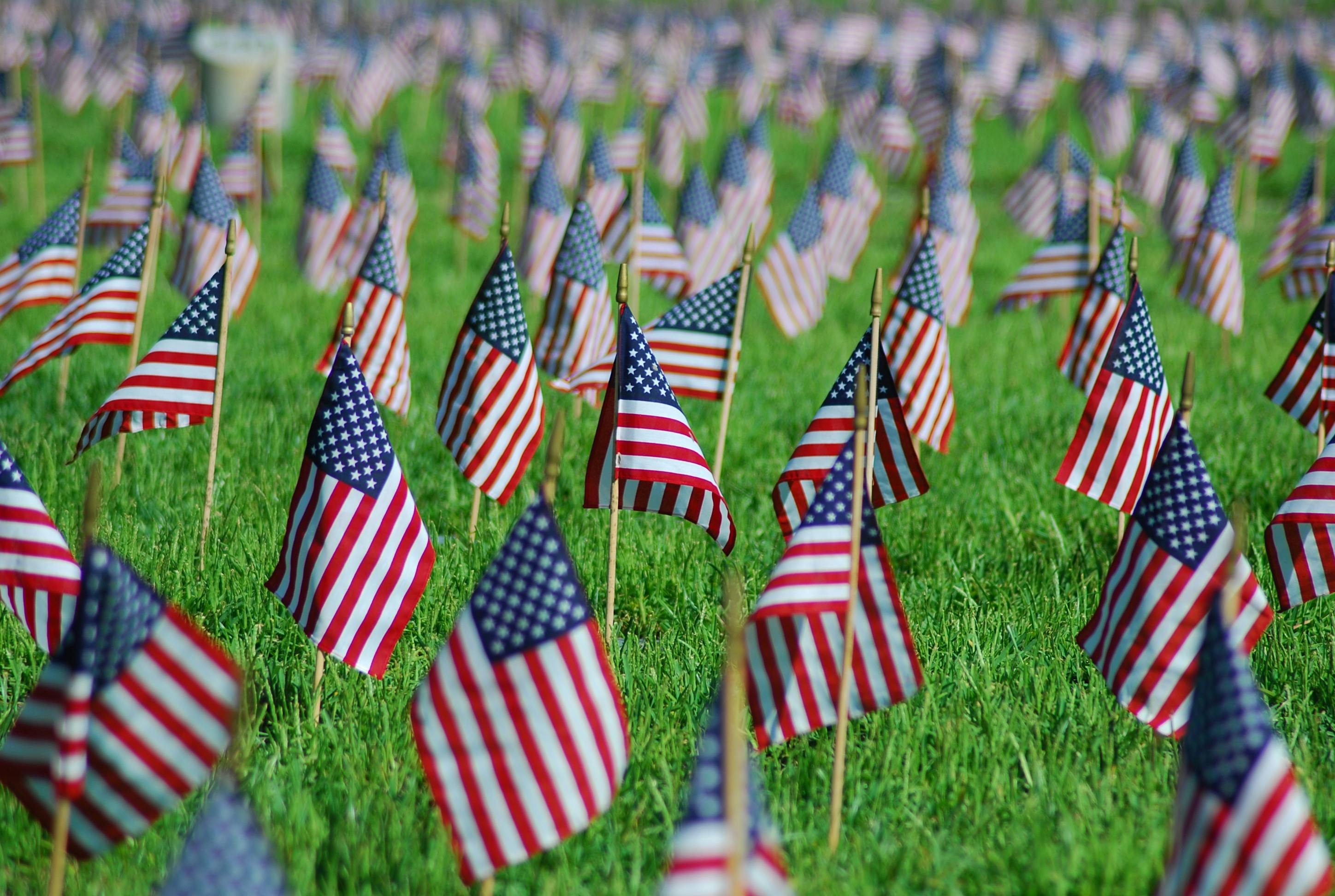 Red Flag · Free Stock Photo