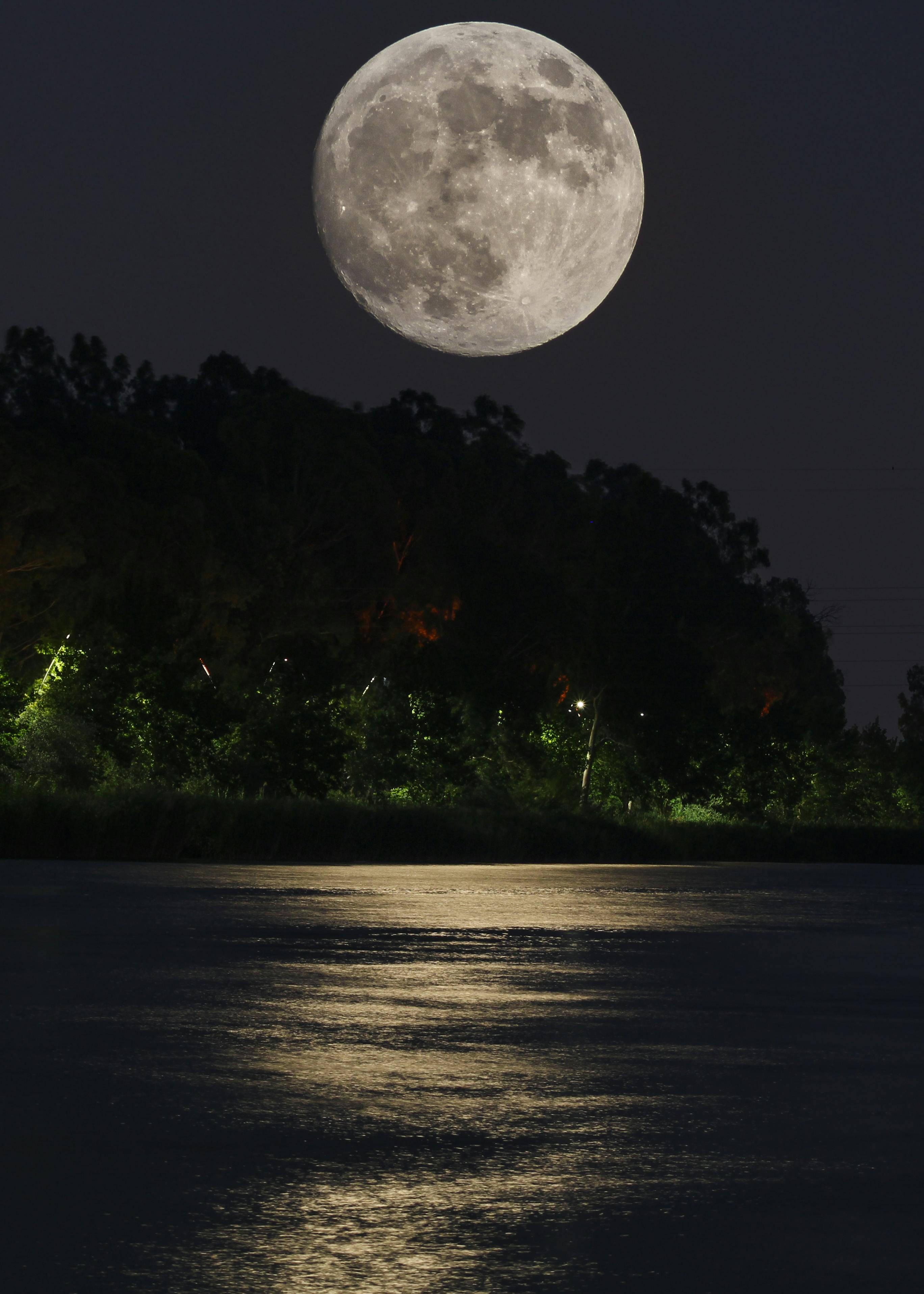 Full Moon over the Trees and the Sea · Free Stock Photo