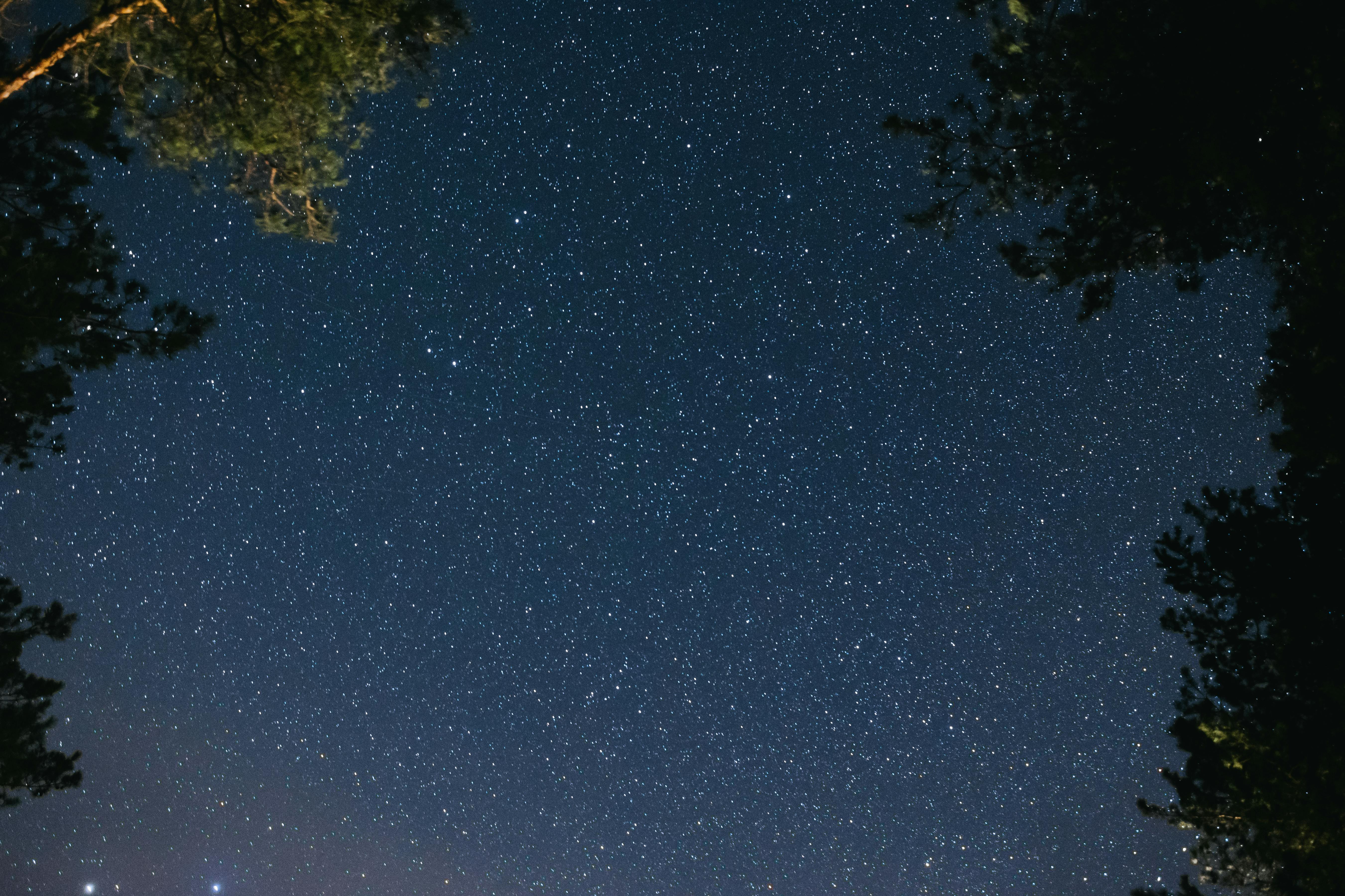 Starry Sky · Free Stock Photo