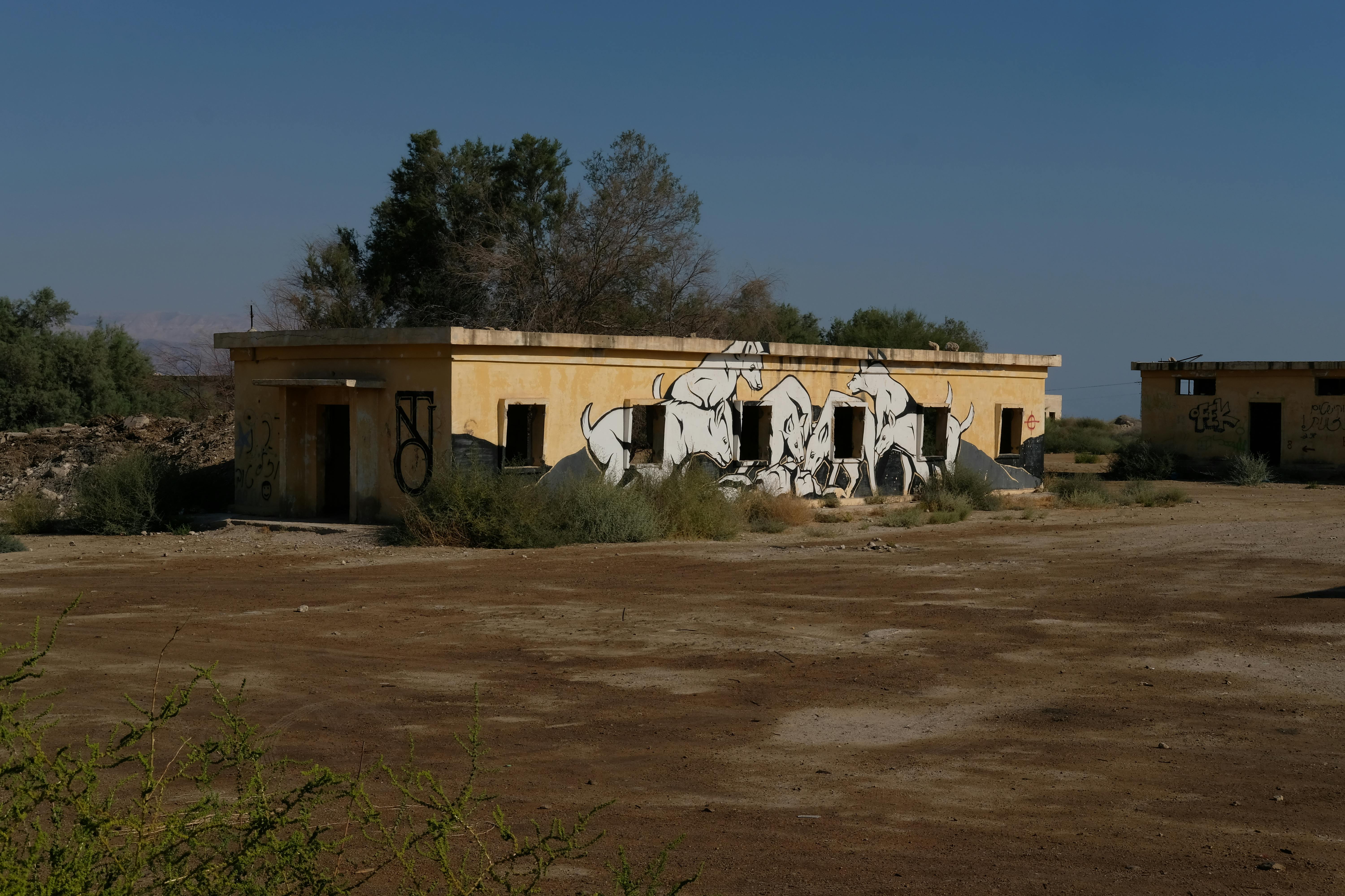 Devastation Photos, Download The BEST Free Devastation Stock Photos ...