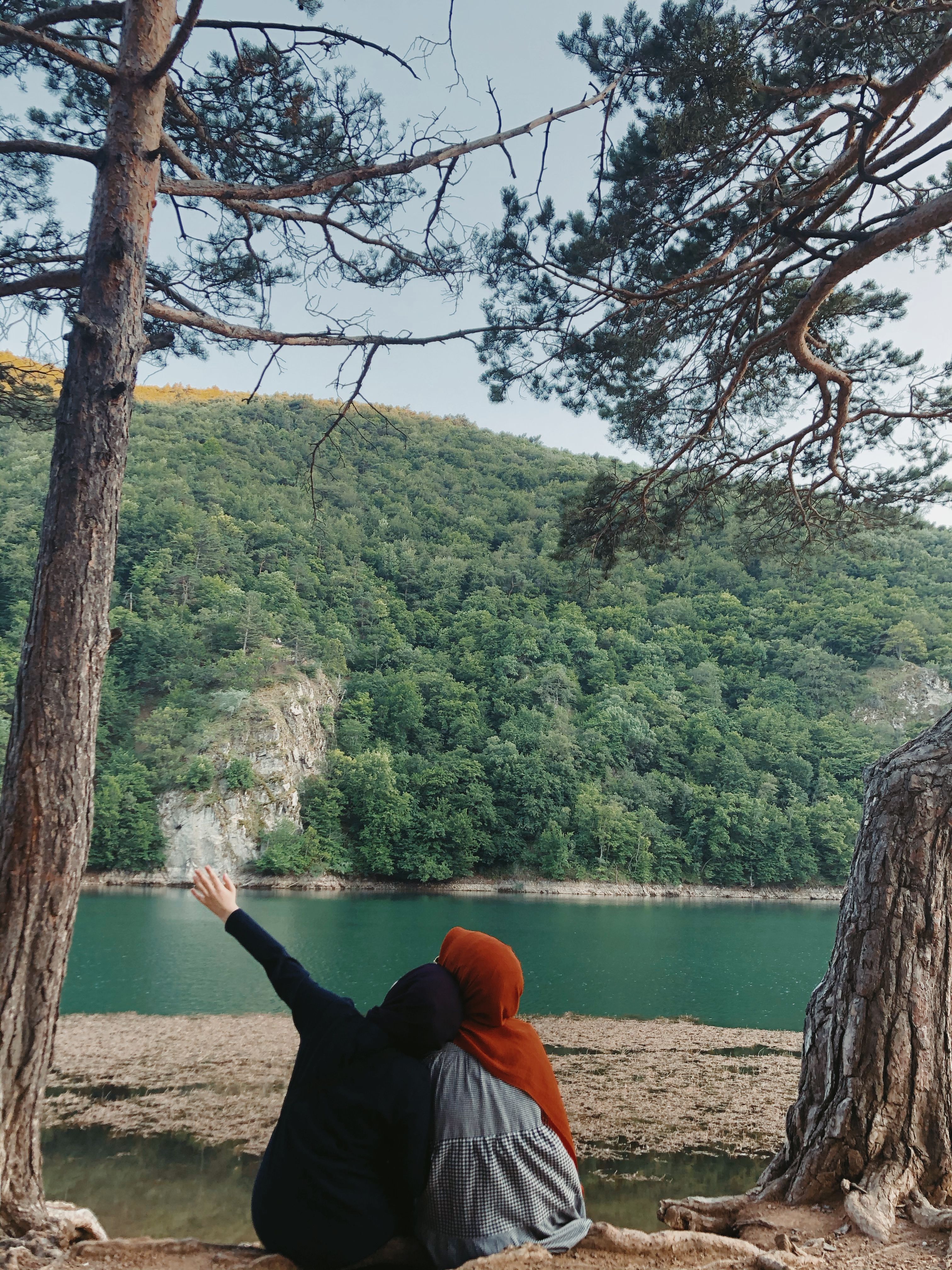 Two People Sitting Under a Tree Near Lake · Free Stock Photo
