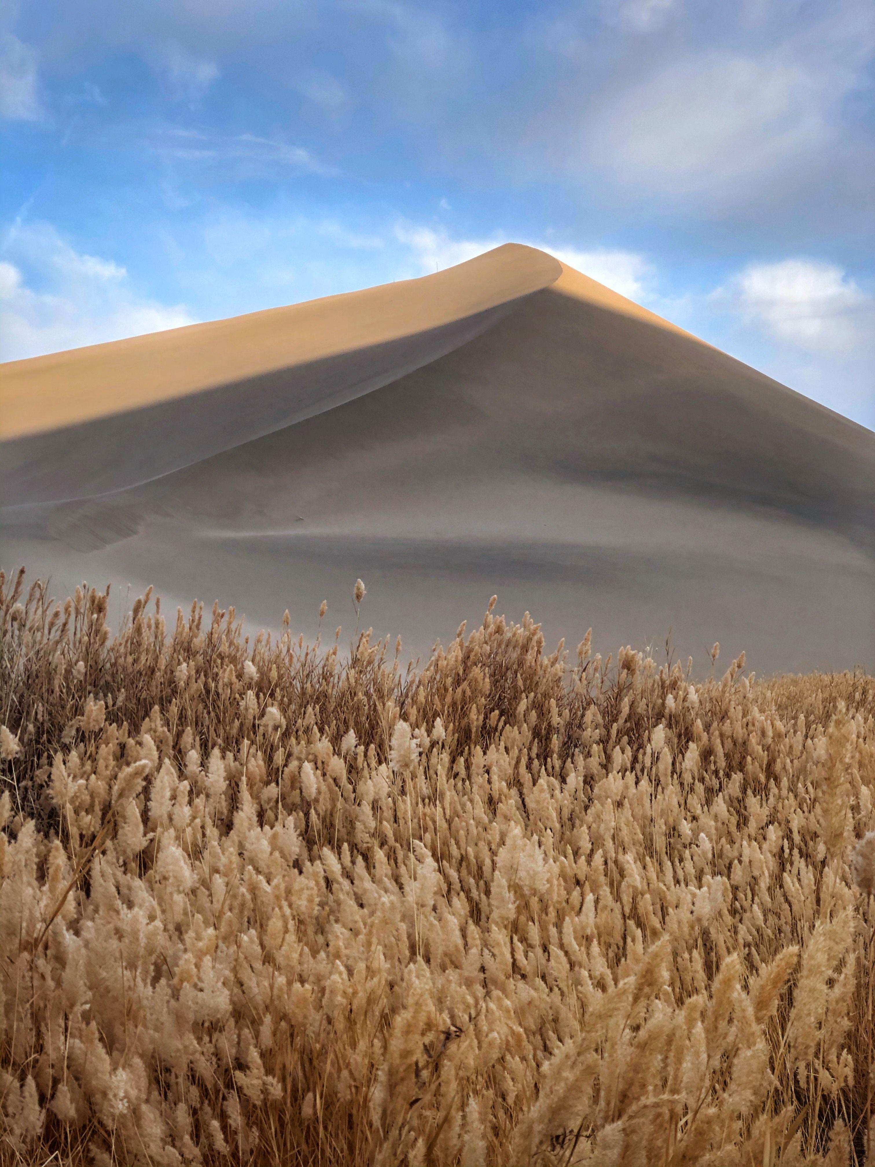 Brown Grass Field Near Sand Dune Under the Sky · Free Stock Photo