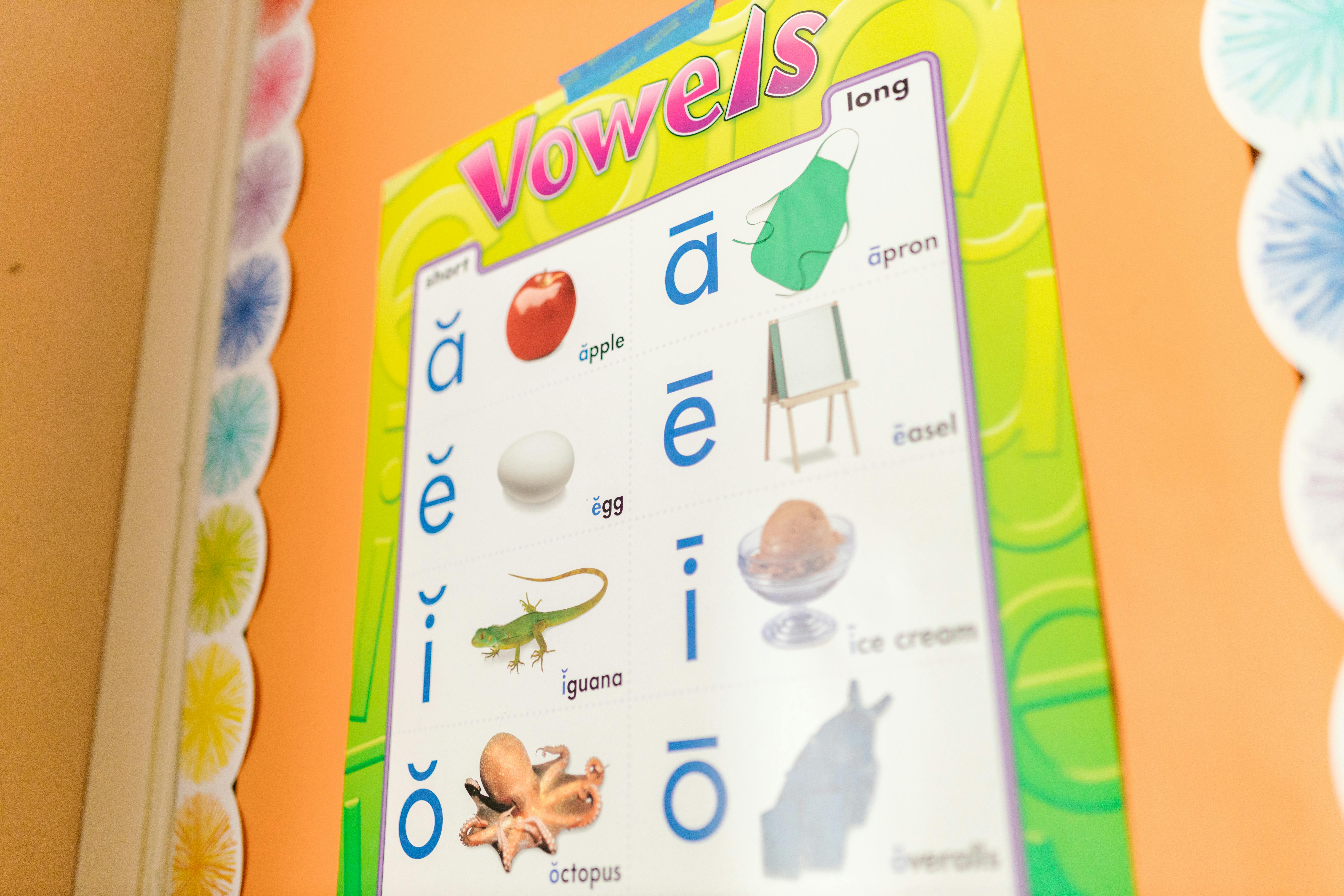 Vowels Chart on the Bulletin Board · Free Stock Photo