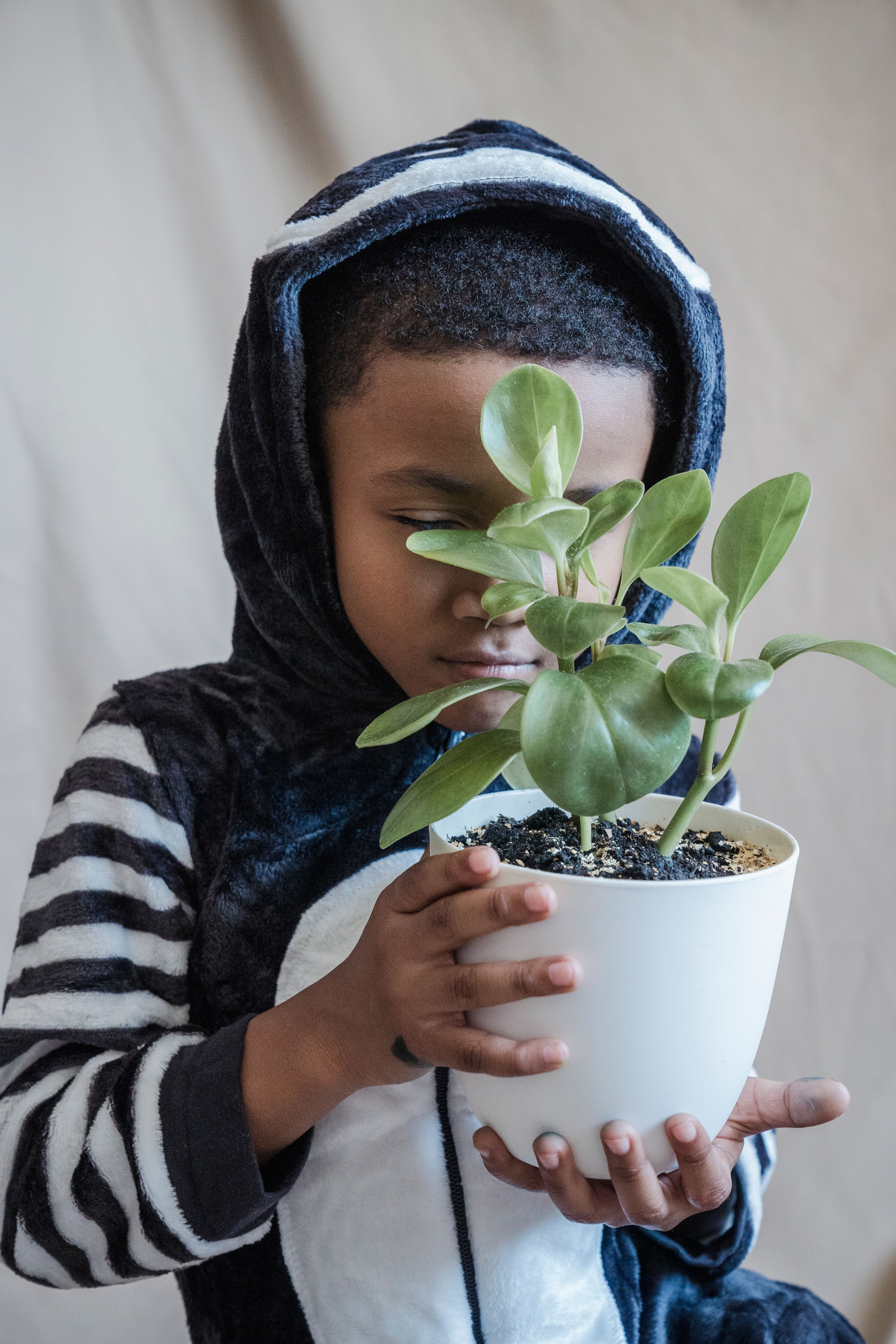Portrait of Boy with Potted Plant · Free Stock Photo