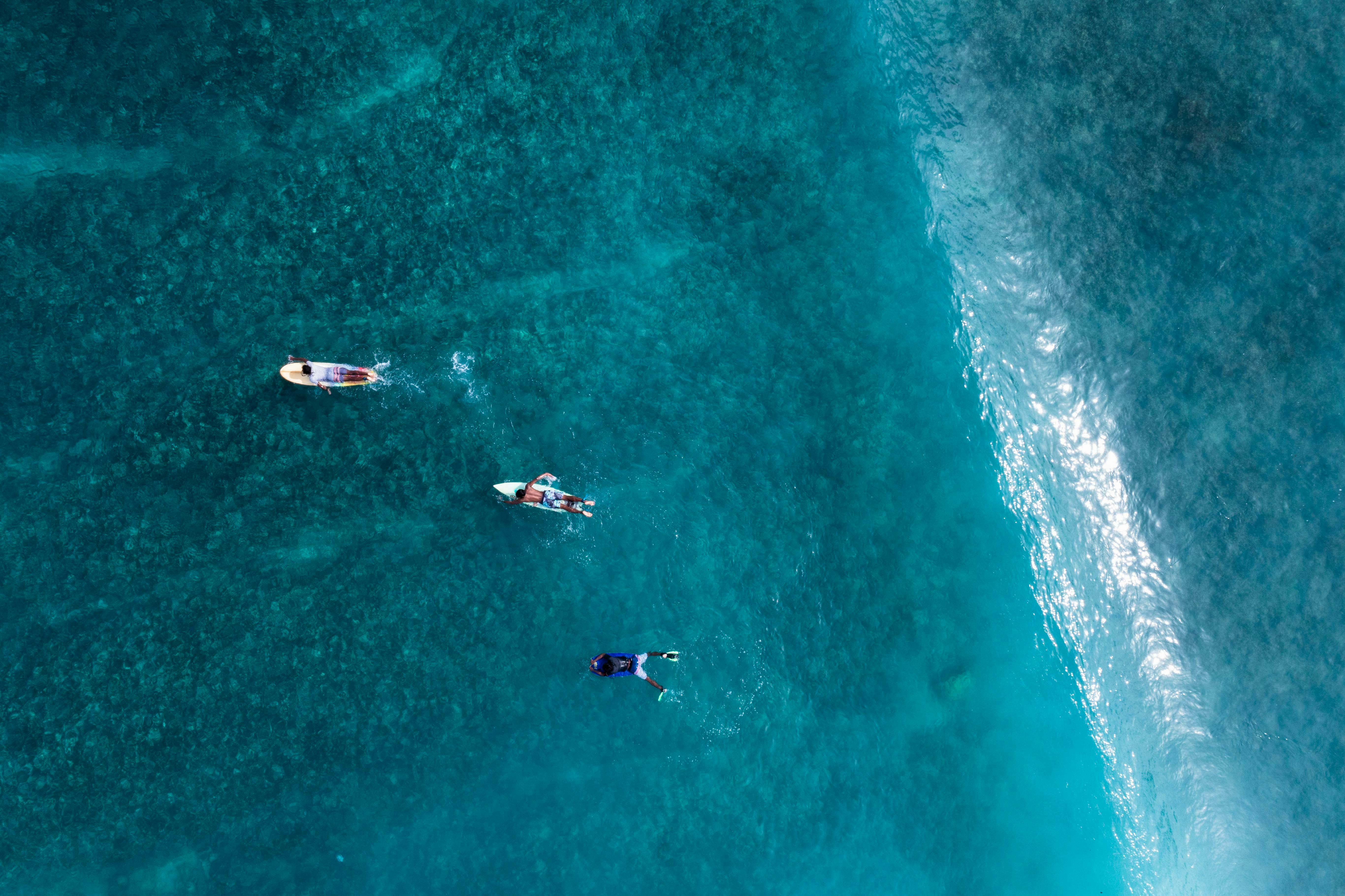 Top View Photo of Person Surfing · Free Stock Photo