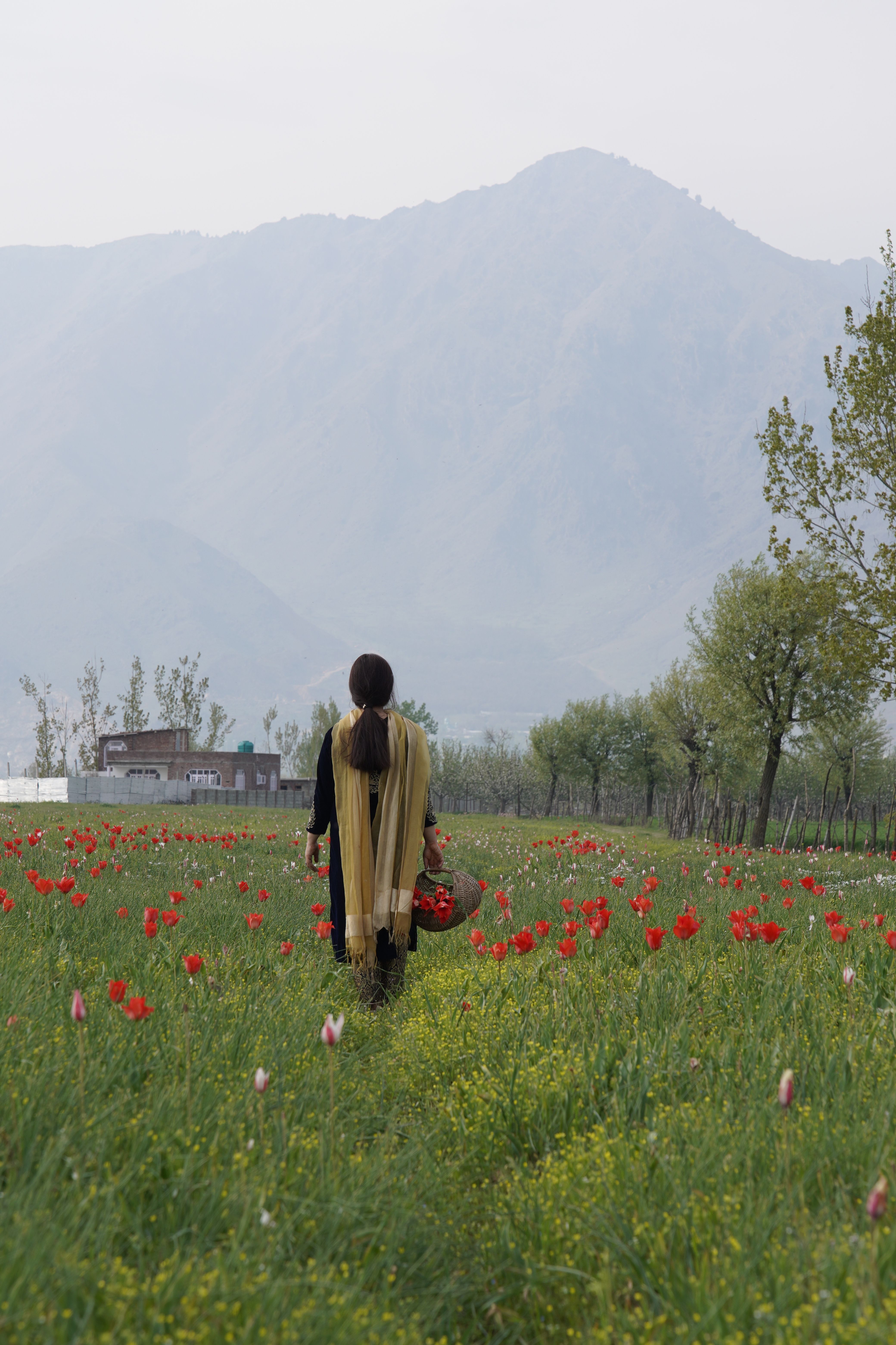 600+ Best Kashmir Photos · 100% Free Download · Pexels Stock Photos