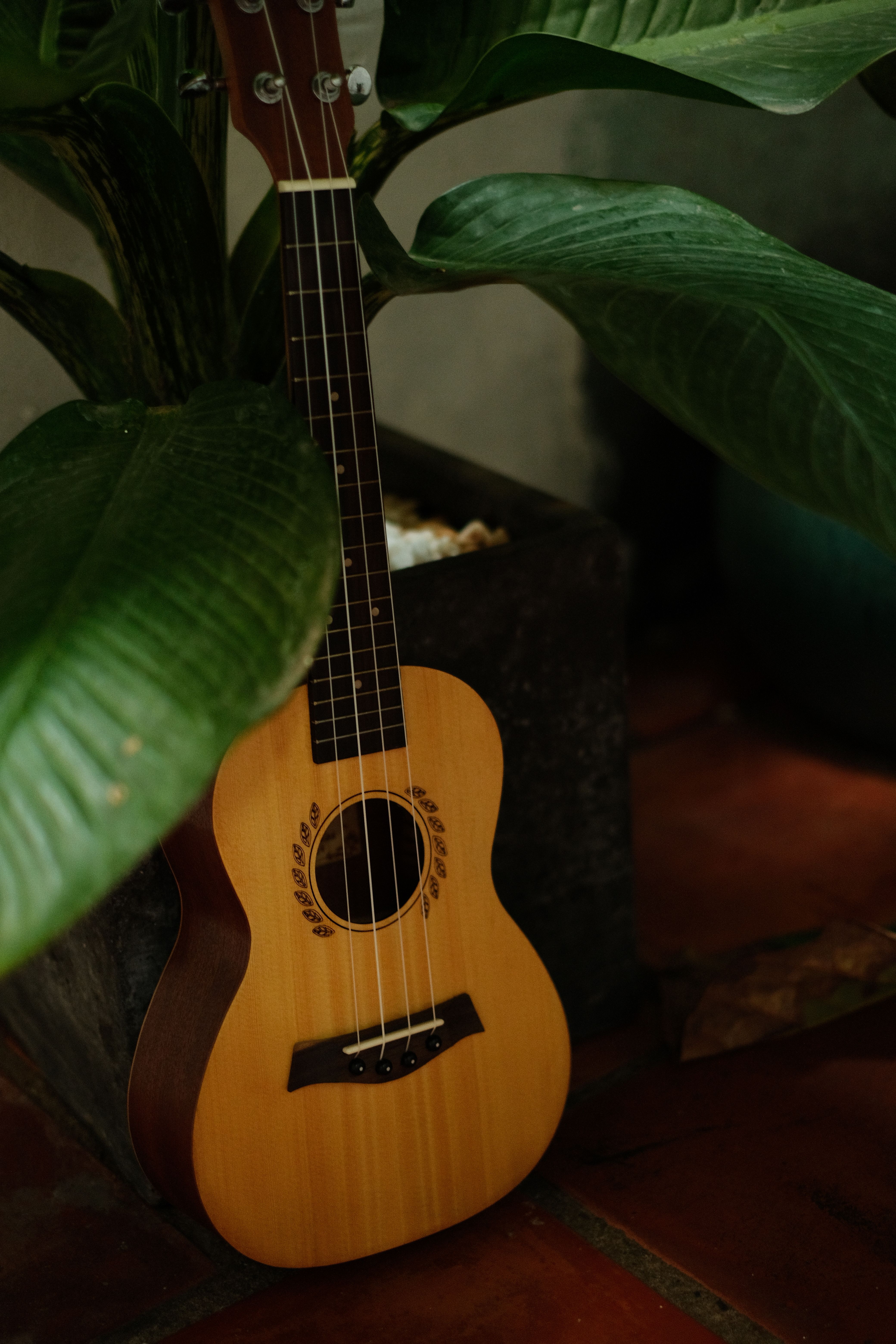 Brown Ukulele · Free Stock Photo