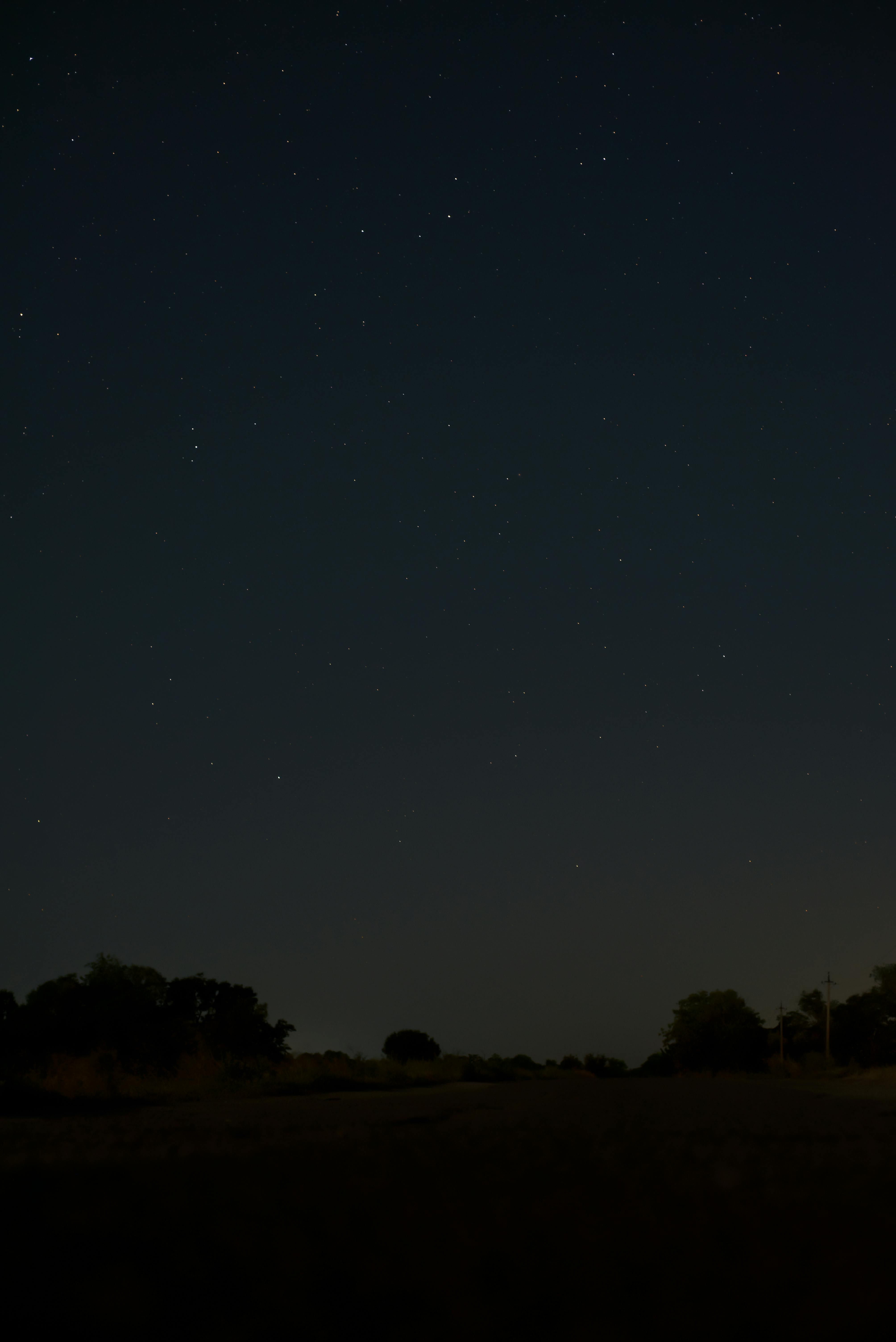 Starry Night in Rural Area · Free Stock Photo