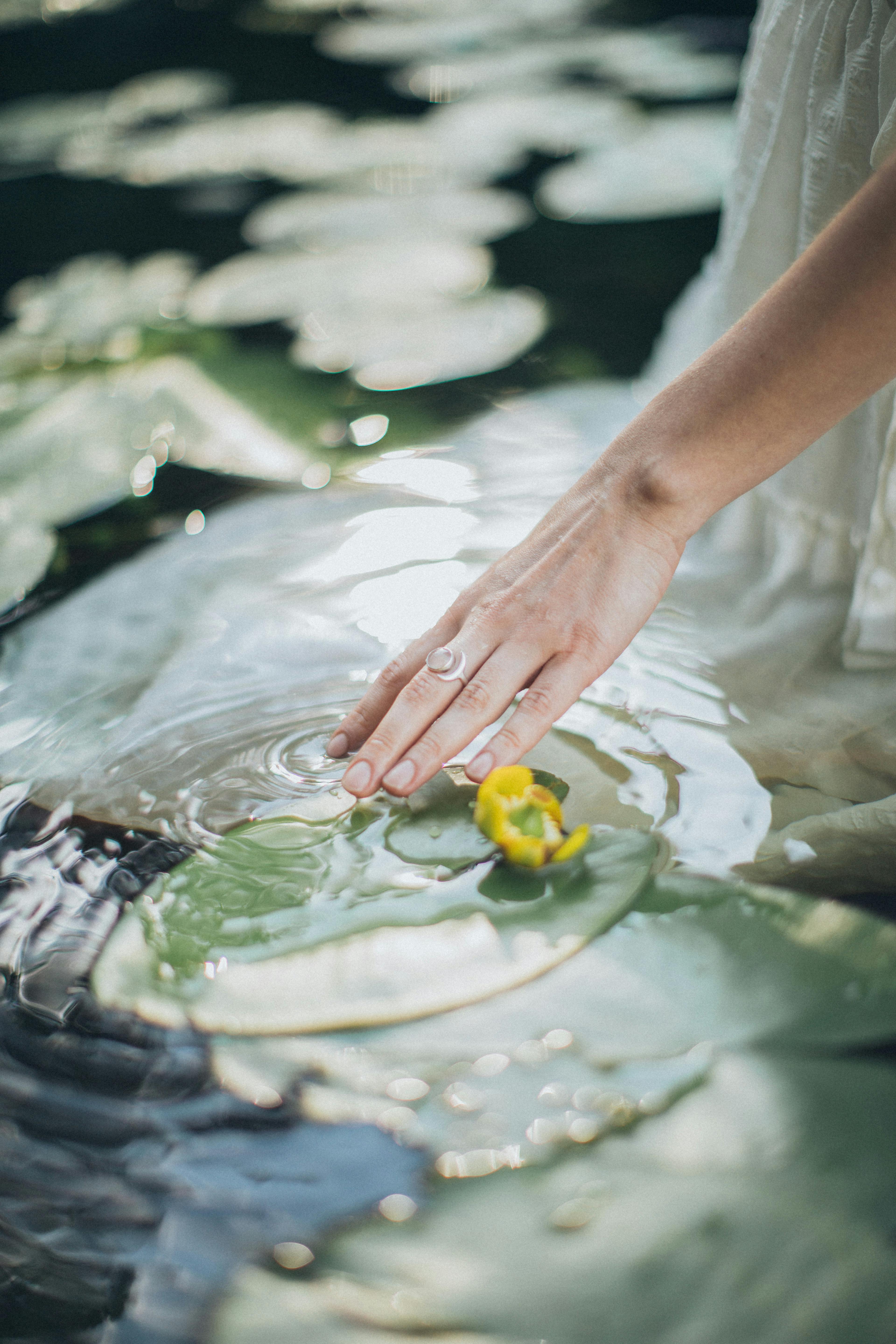 A Person Touching the Water · Free Stock Photo