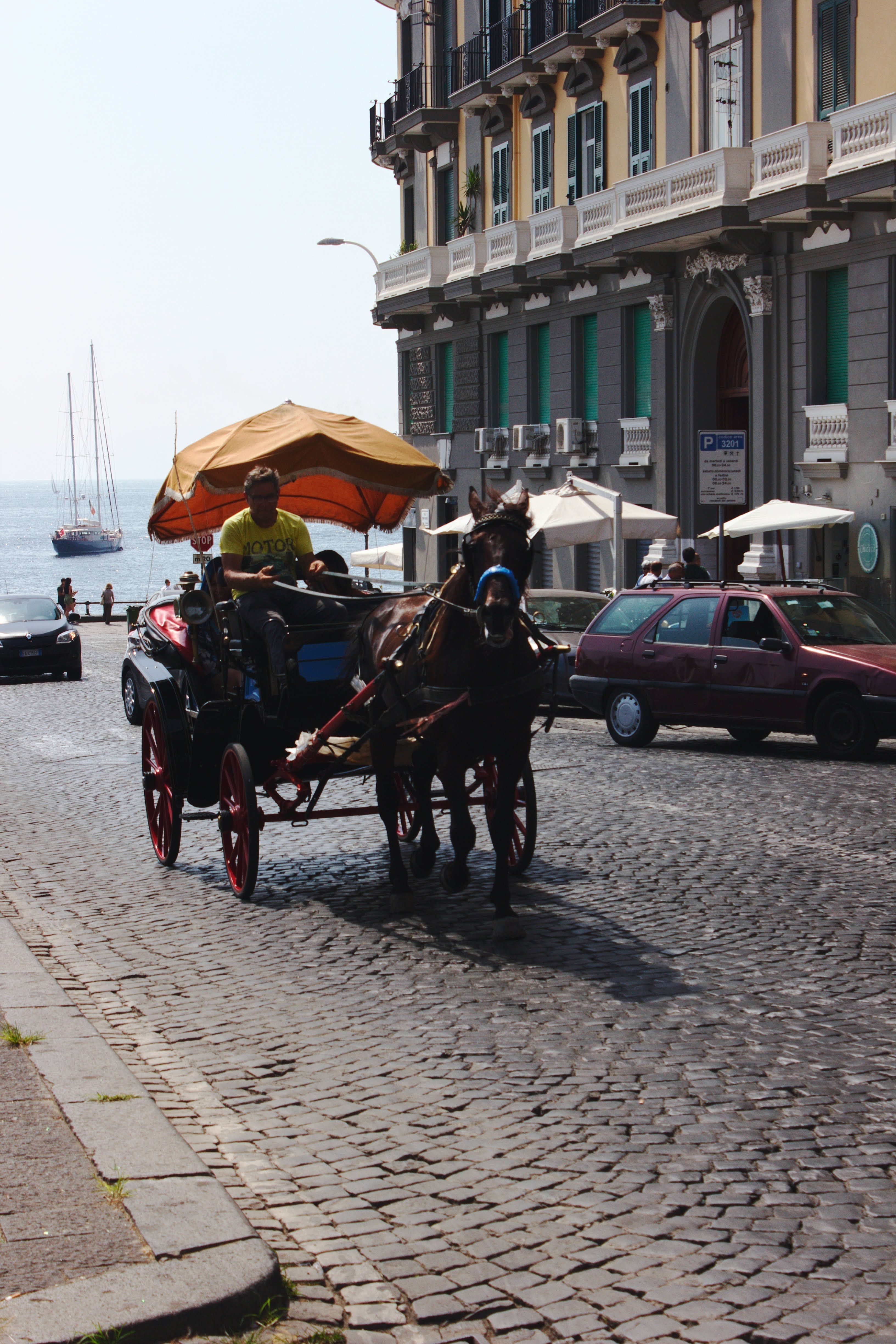Man Driving Carriage Down Cobblestone Street · Free Stock Photo