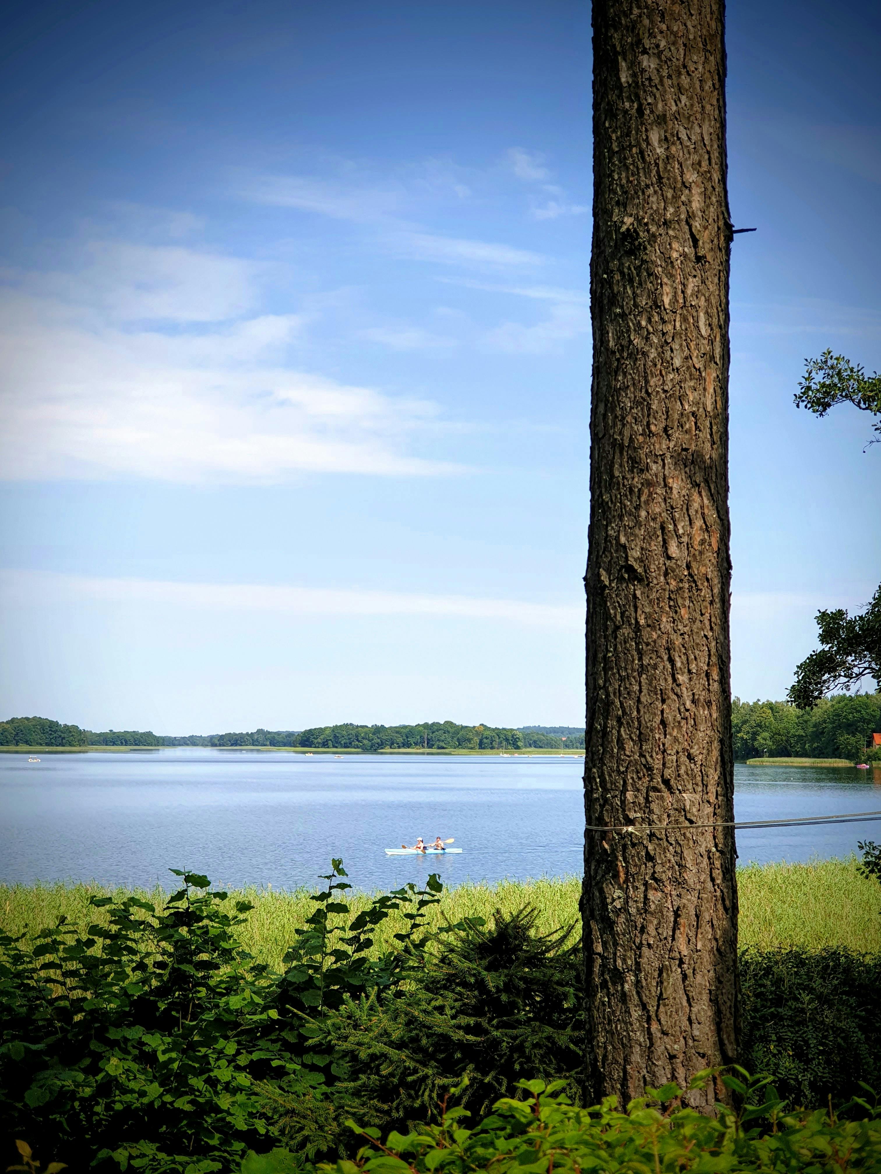 Martin_poland - 사진