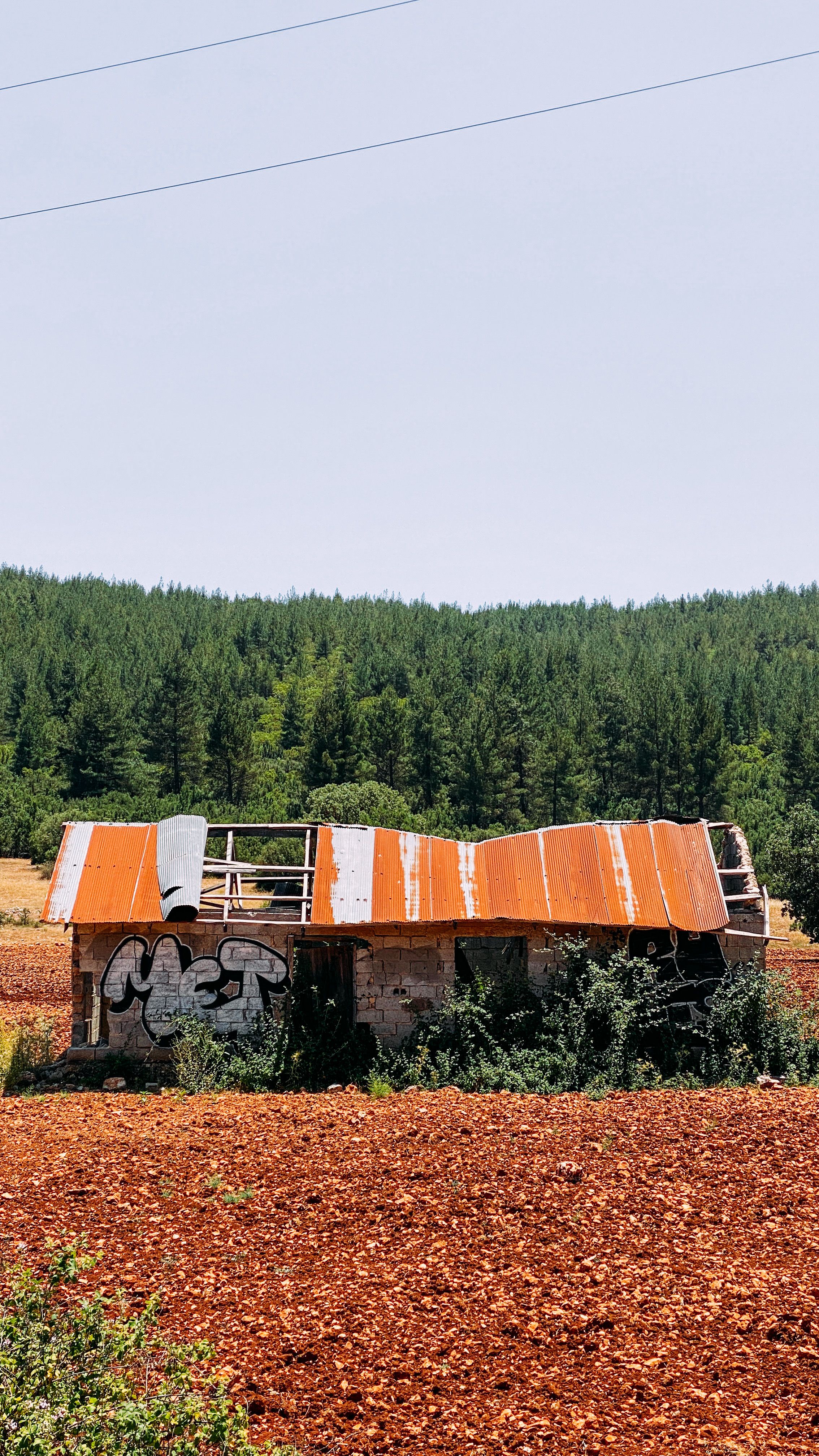 Rusted Shack Photos, Download The BEST Free Rusted Shack Stock Photos ...