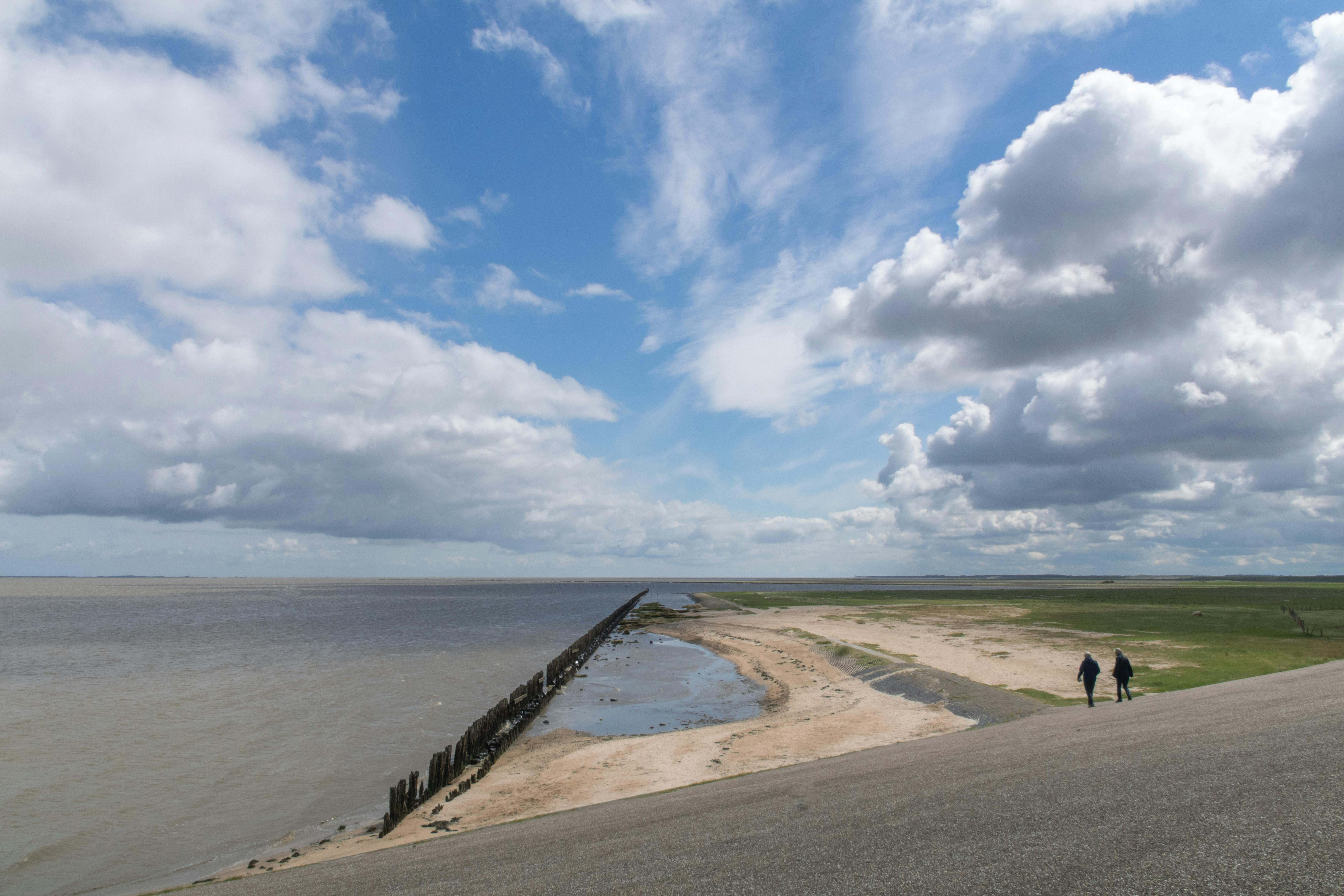 Two People Walking on the Beach under the Cloudy Sky · Free Stock Photo