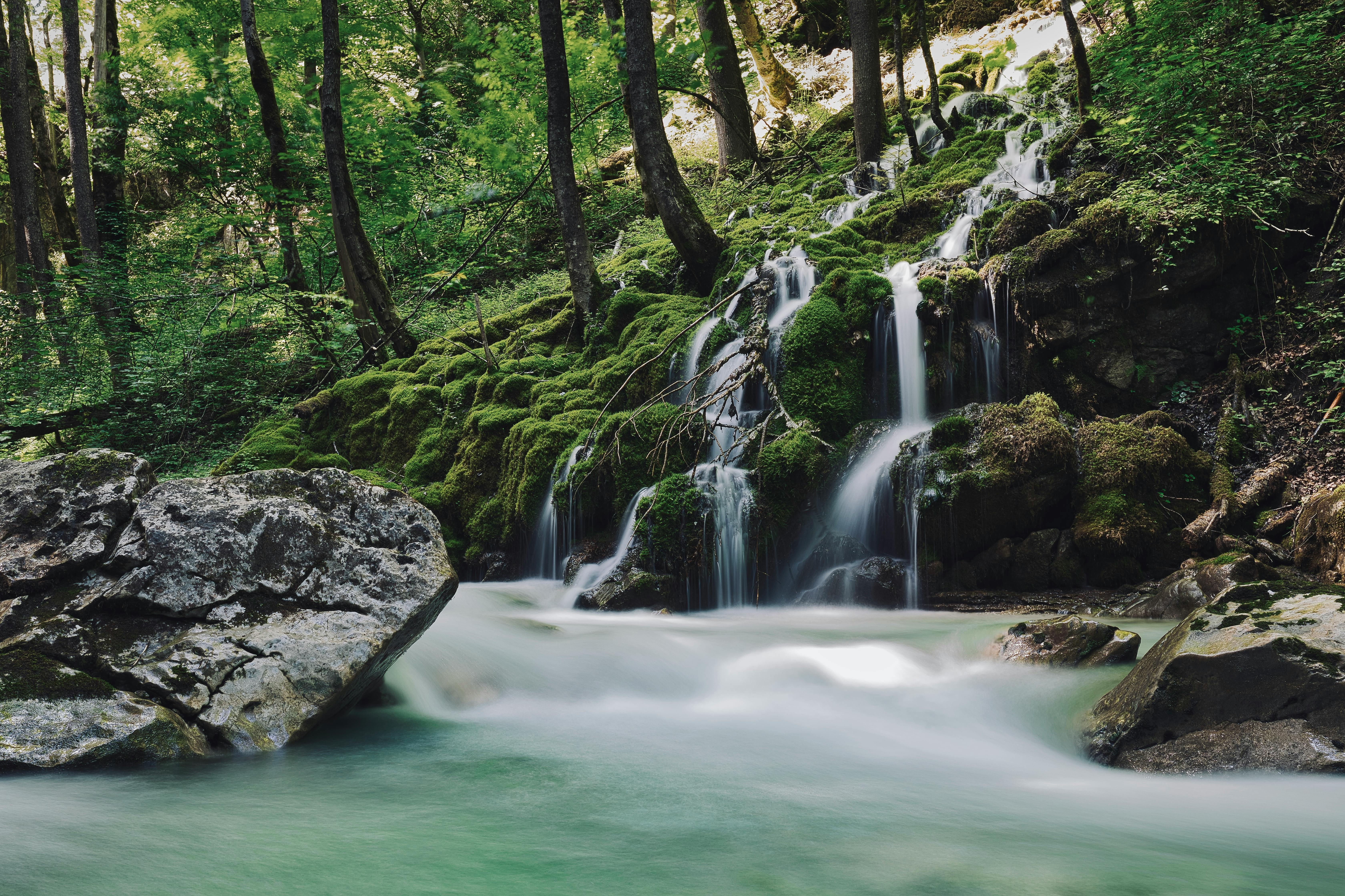 Waterfalls Flowing Near Trees · Free Stock Photo