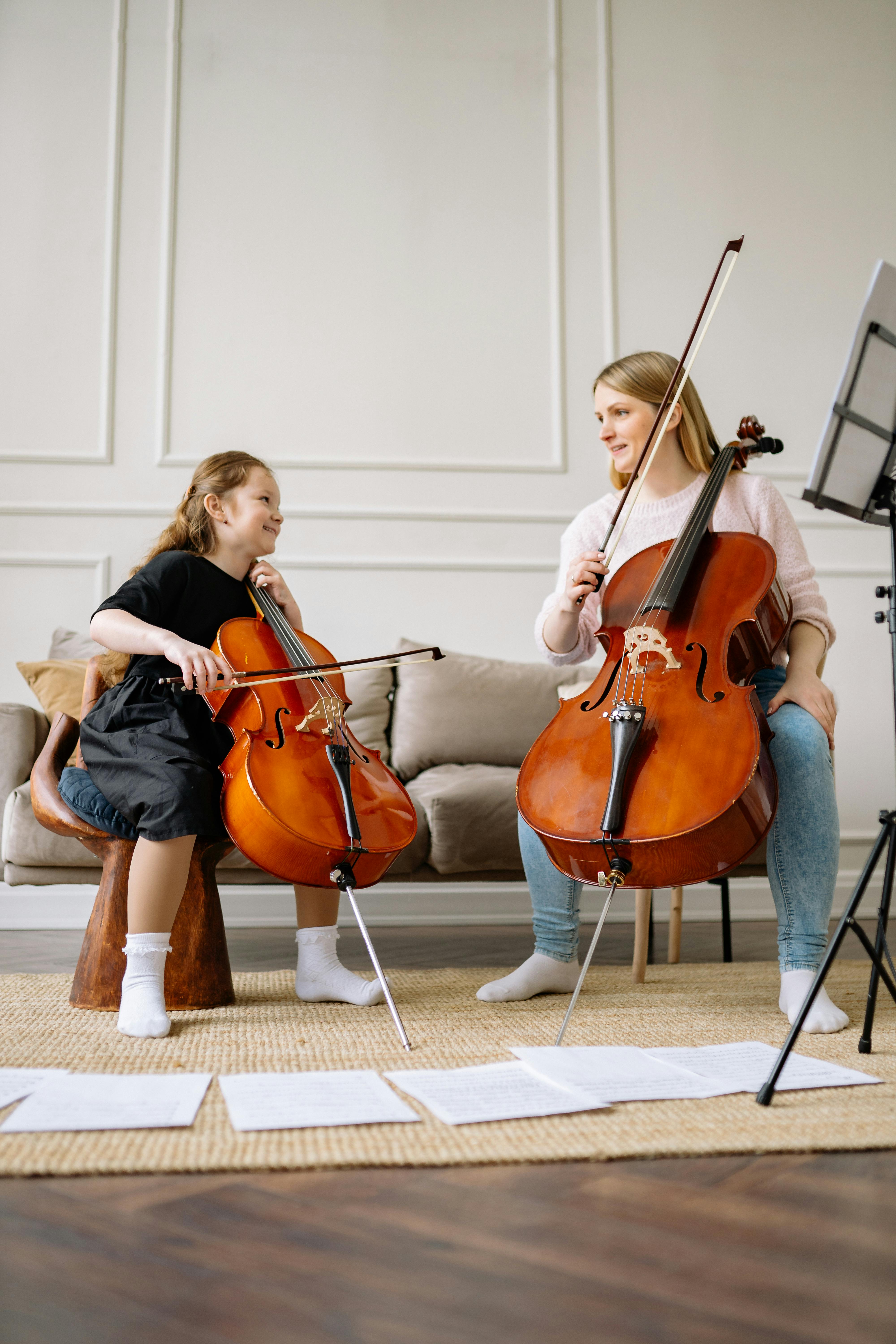 Bowed Stringed Instruments Photos, Download The BEST Free Bowed ...