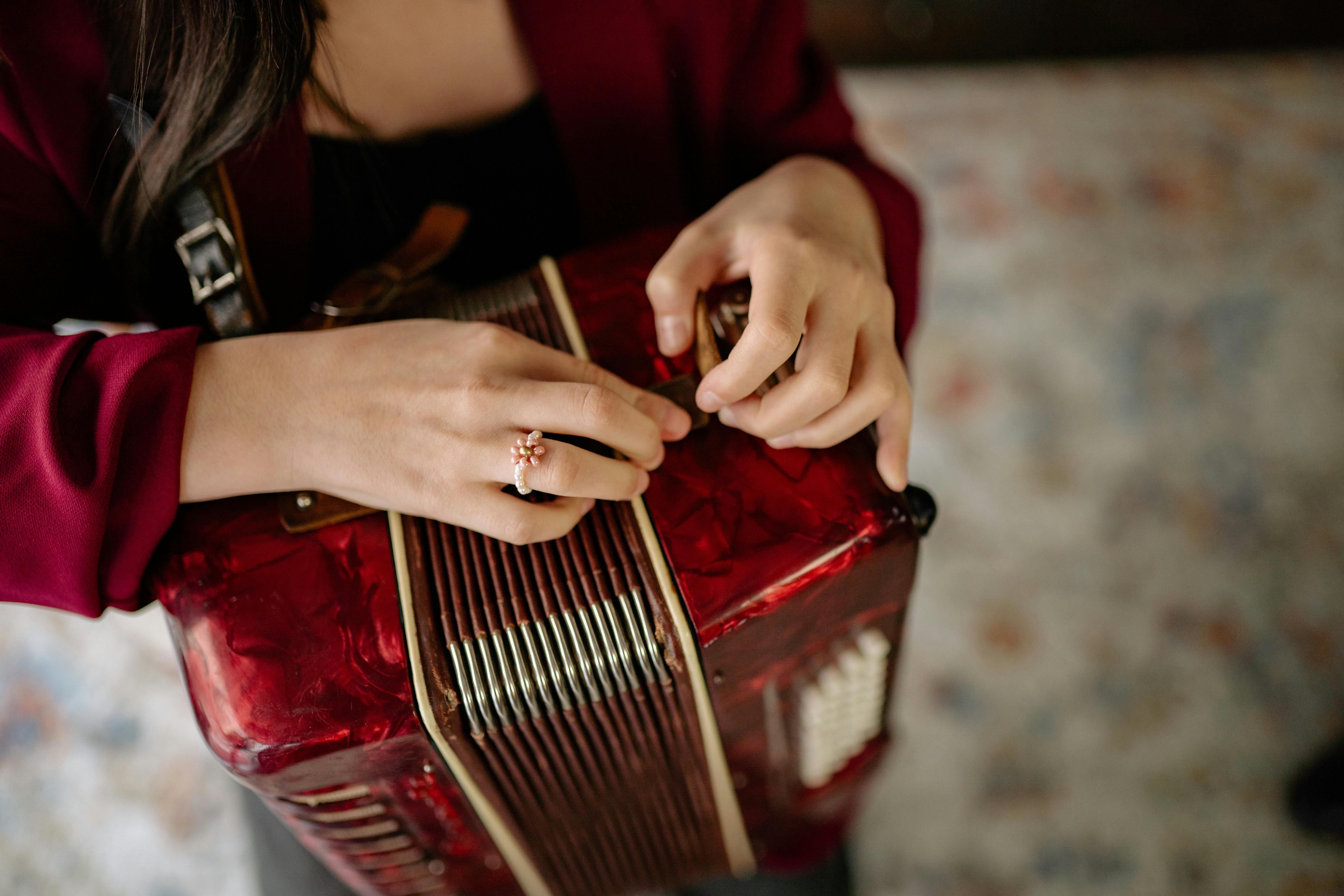 Accordion Photos, Download The BEST Free Accordion Stock Photos & HD Images