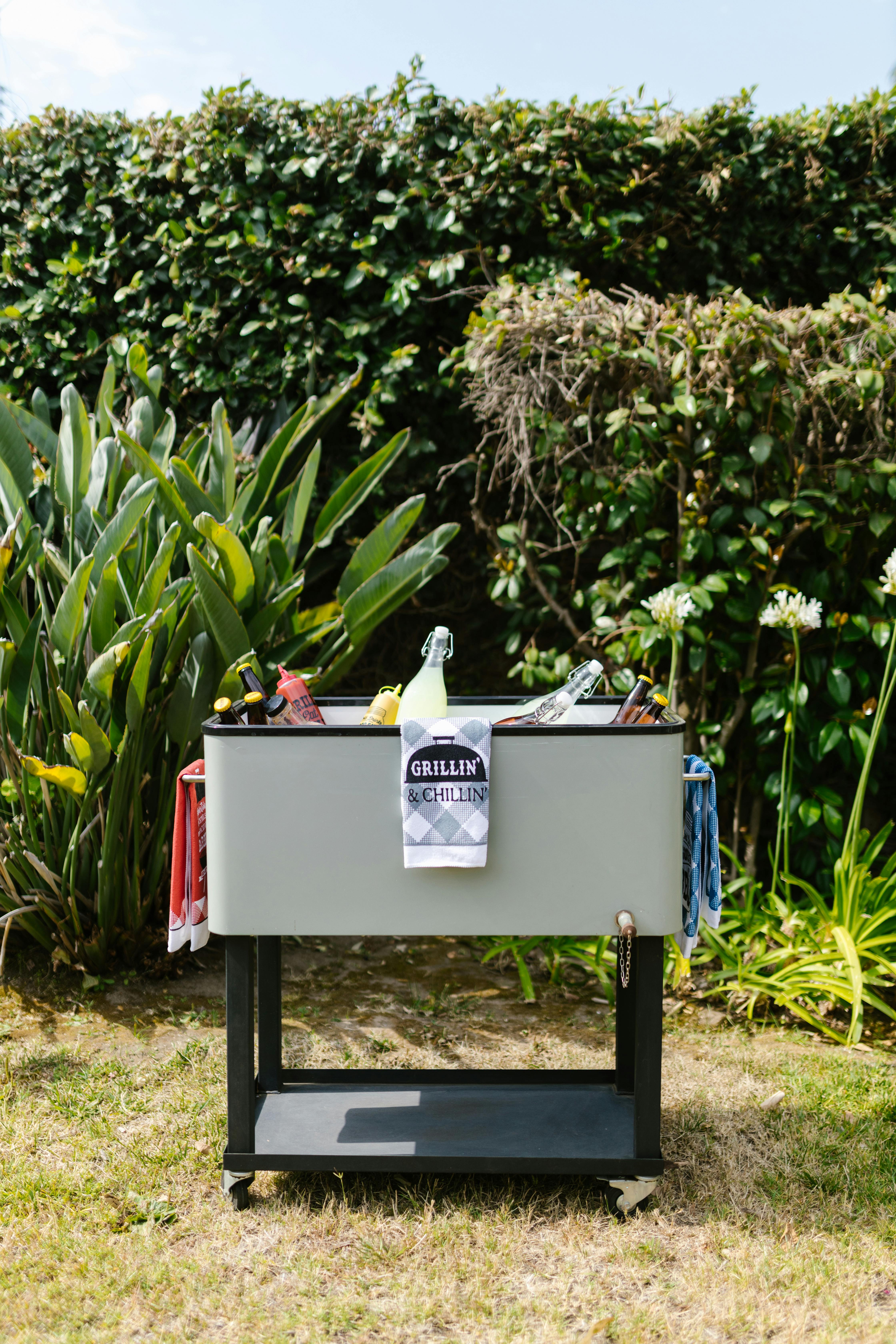 Beers in the Ice Box · Free Stock Photo