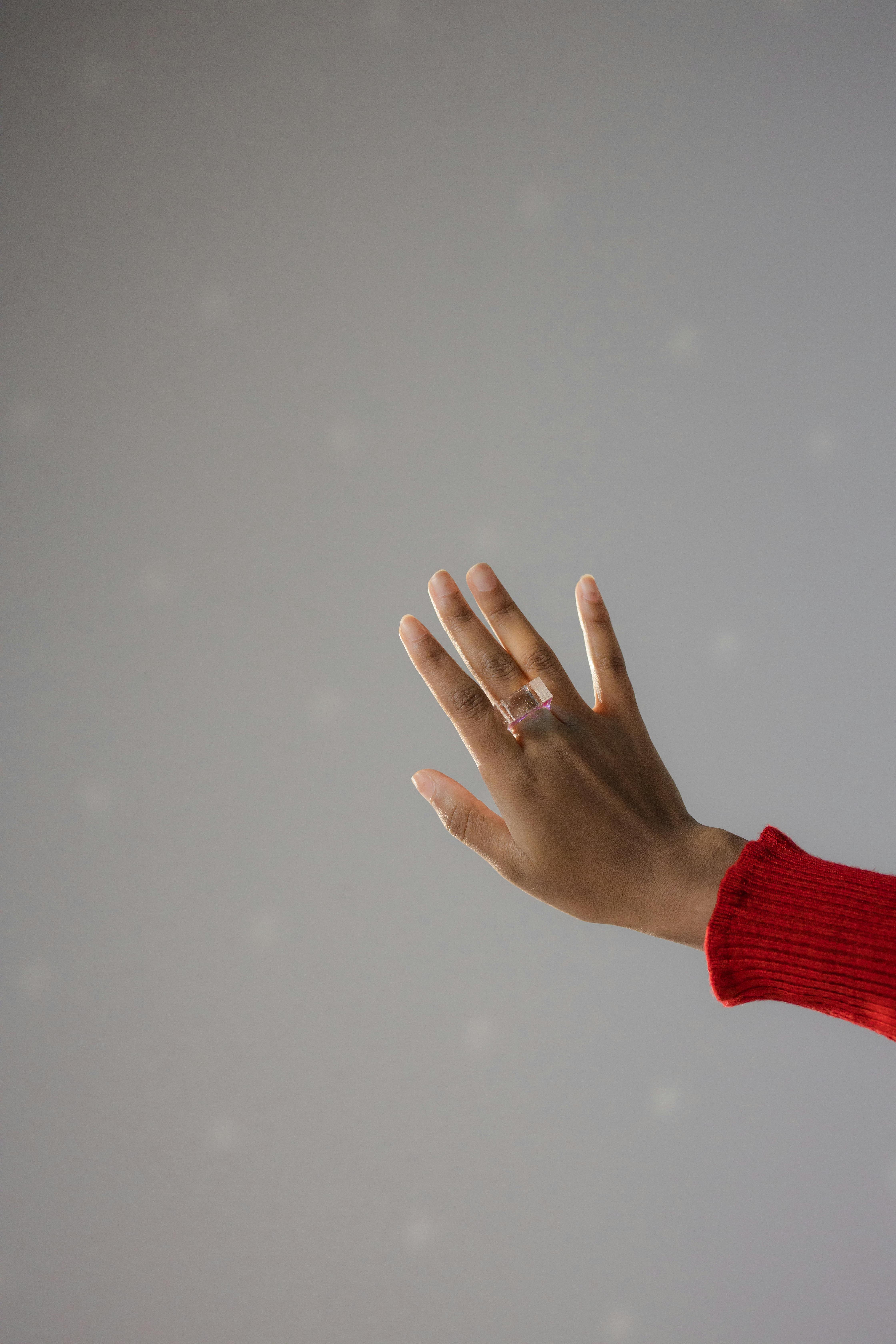 Subject With Plain Background Photos, Download The BEST Free Subject ...