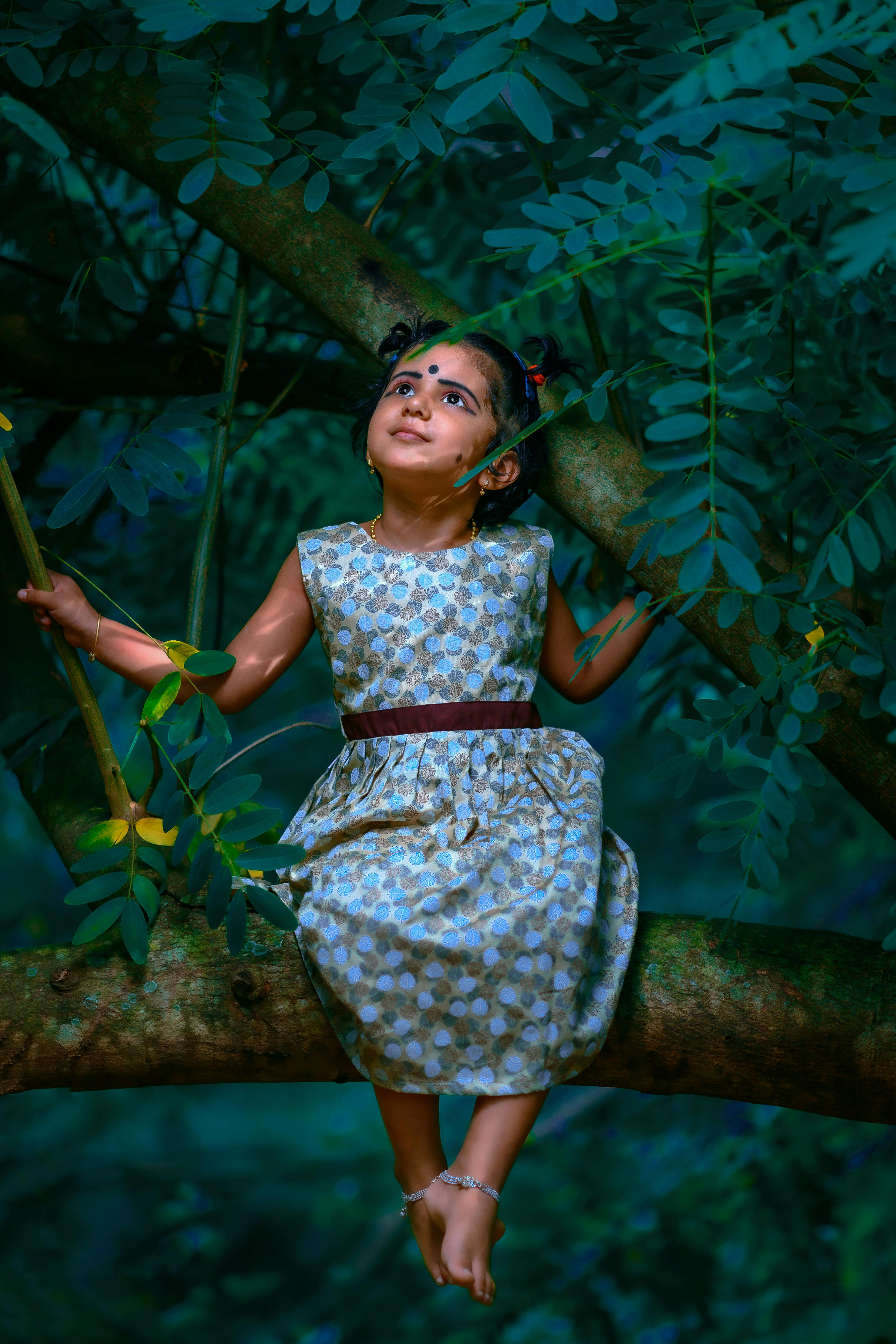 Girl Sitting on a Tree Branch · Free Stock Photo