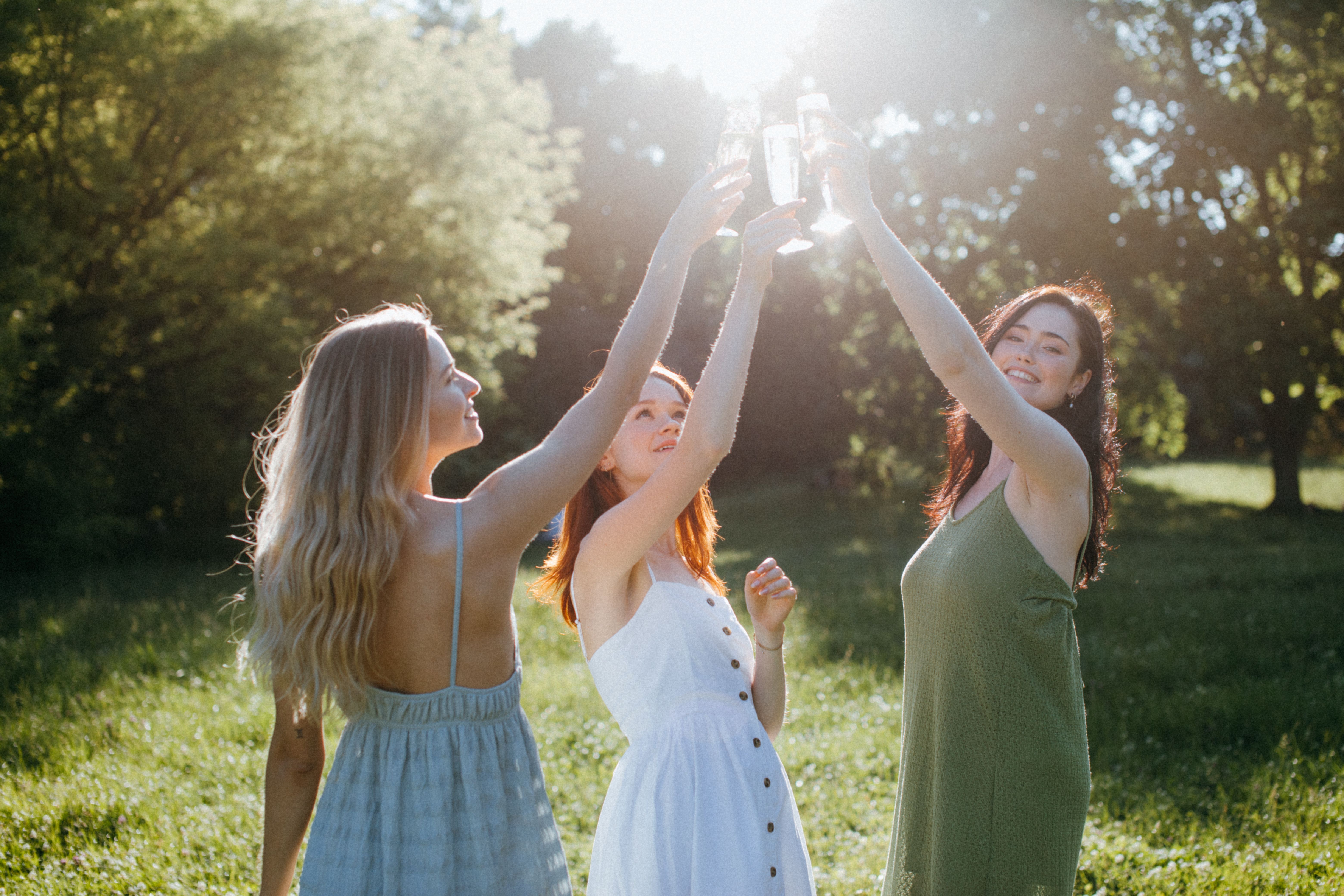 Photo of Women Having a Toast · Free Stock Photo