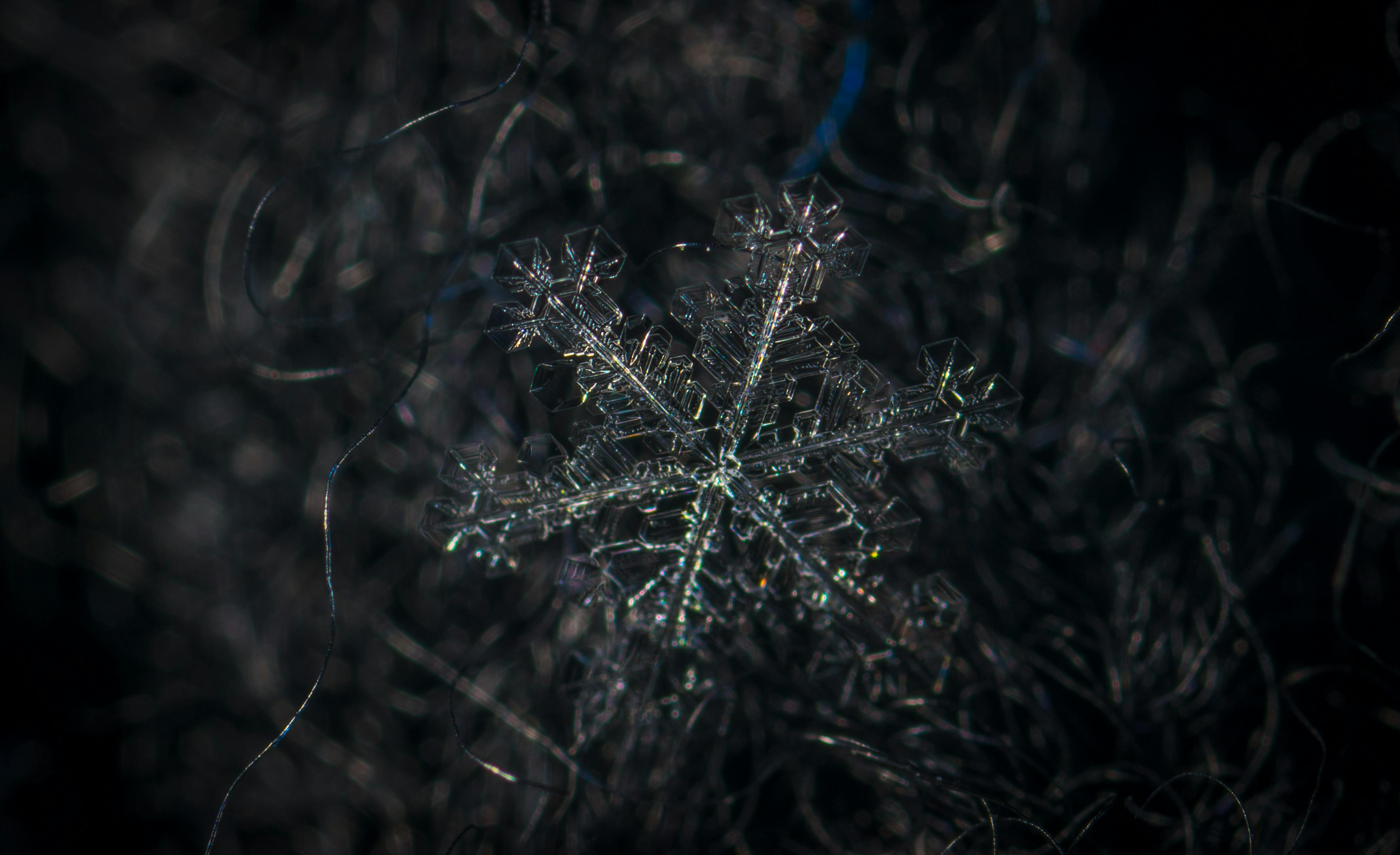 Free stock photo of macro, snowflake