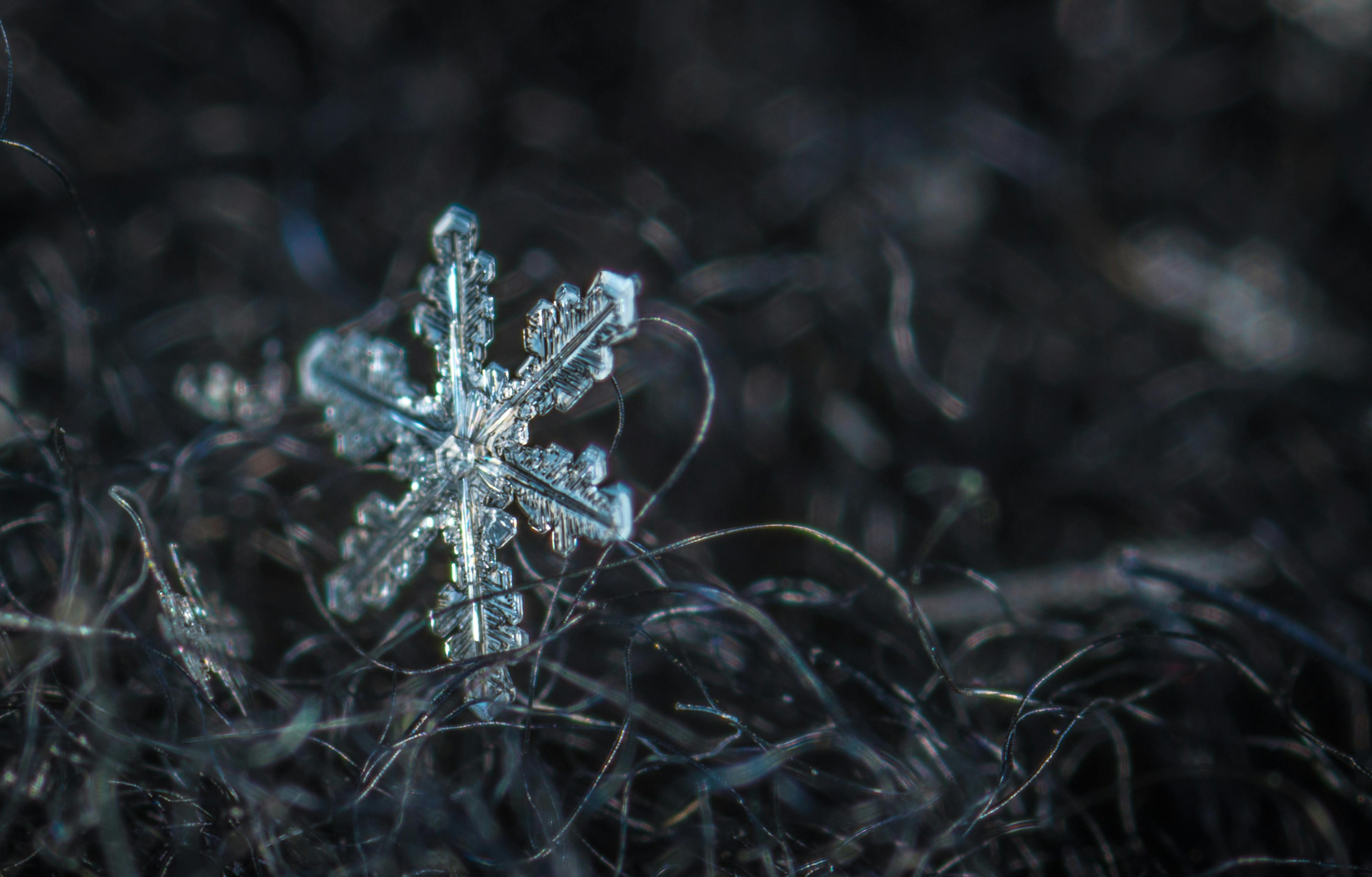 Snowflake Macro Photography