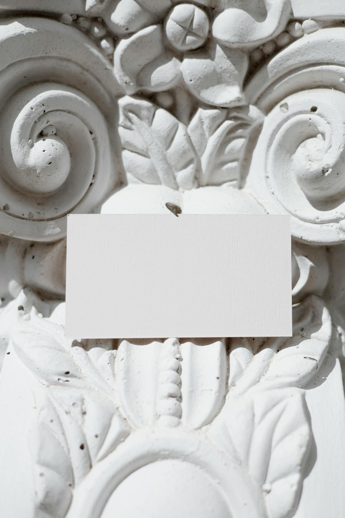 Flat Photos, Download The BEST Free Flat Stock Photos & HD Images