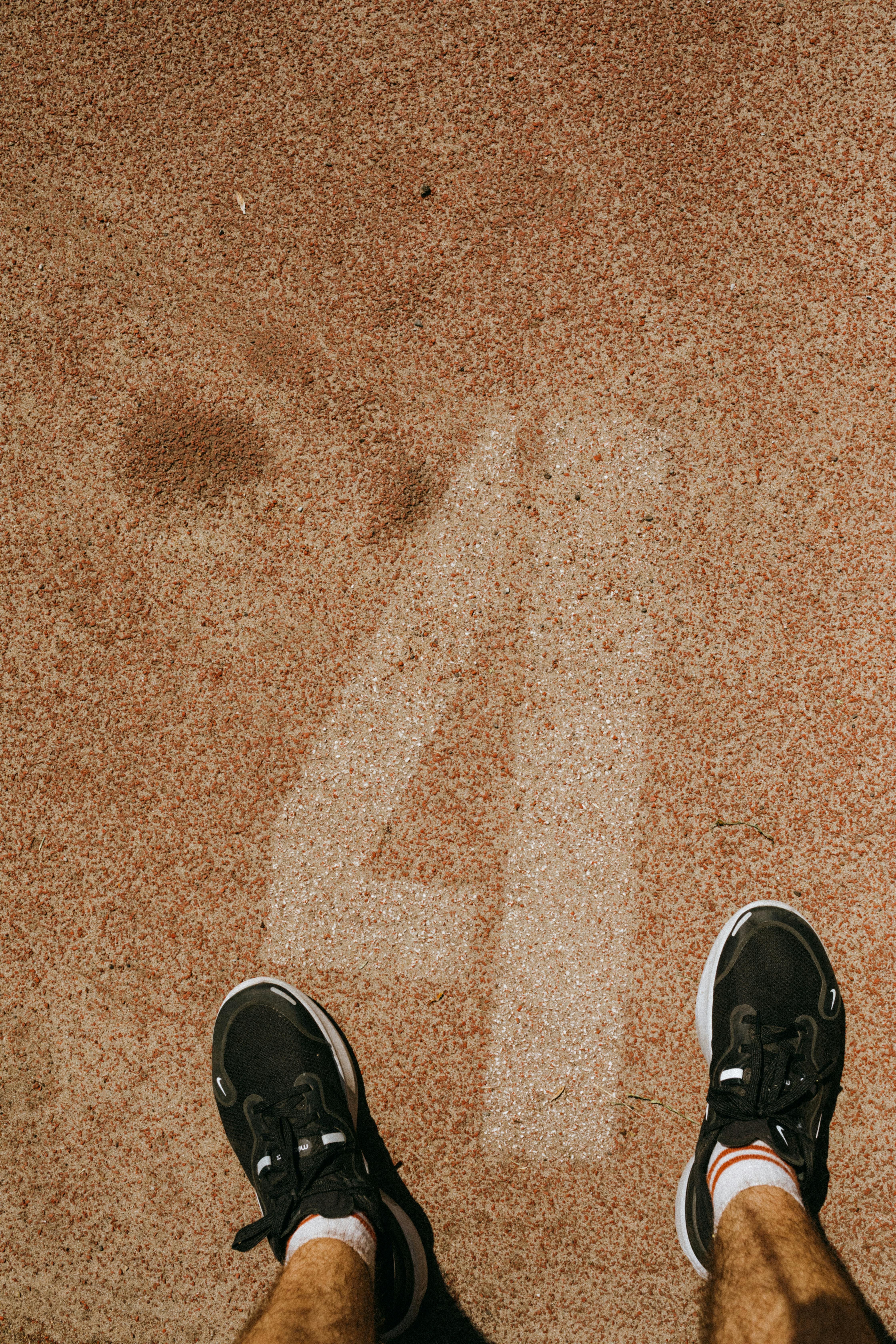 Number 4 Photos, Download The BEST Free Number 4 Stock Photos & HD Images