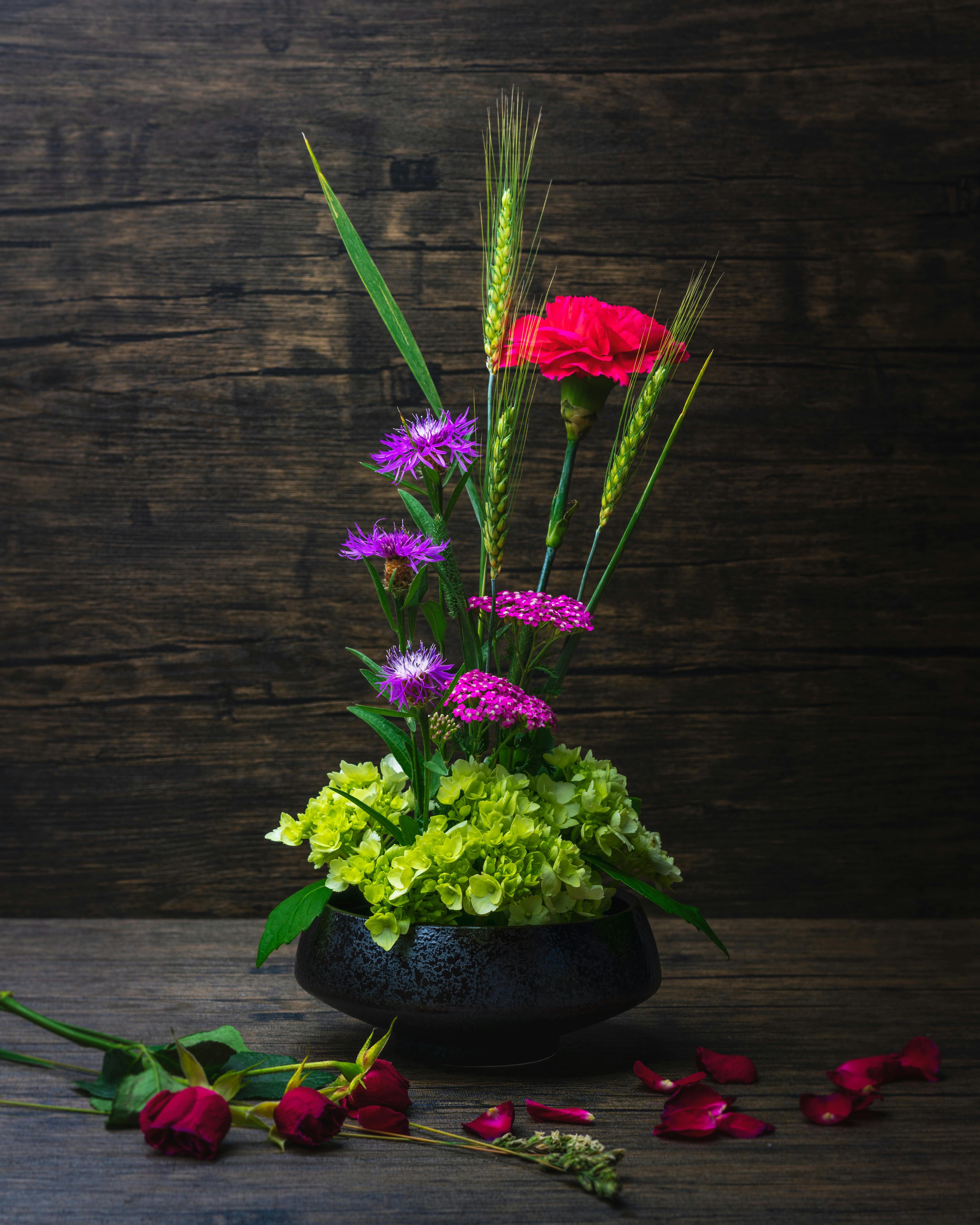 Colorful Flowers in the Vase · Free Stock Photo