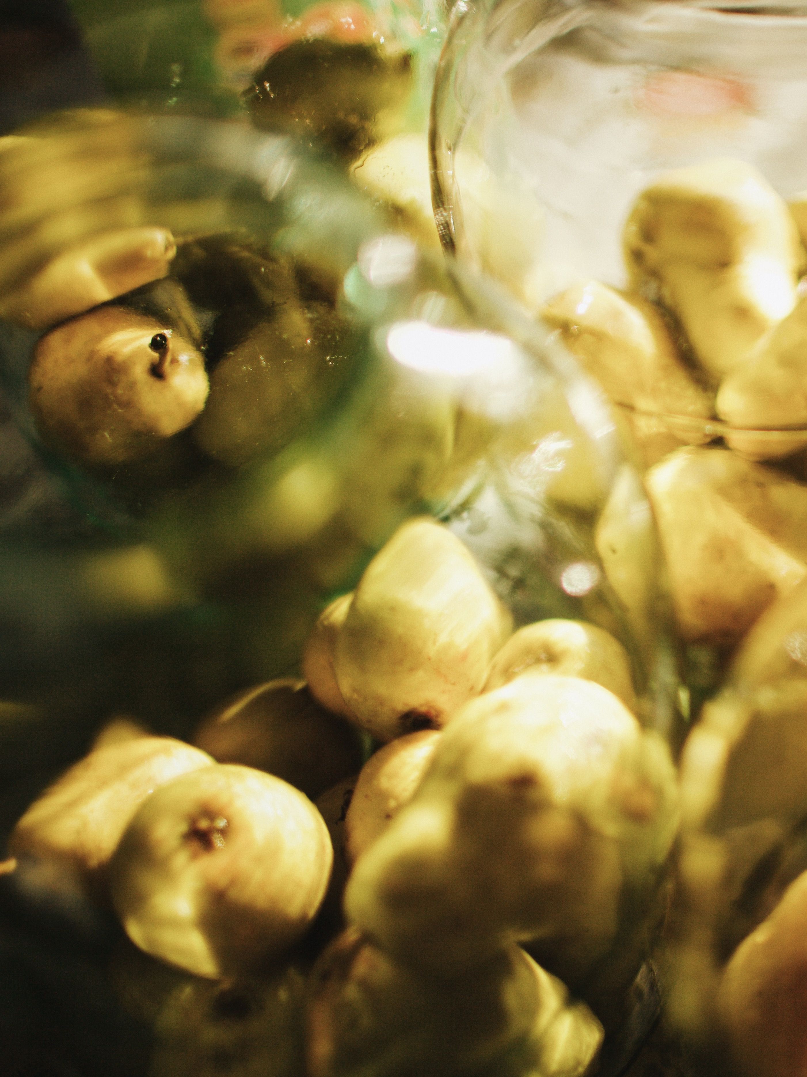 Underwater Fruit Photos, Download The BEST Free Underwater Fruit Stock ...