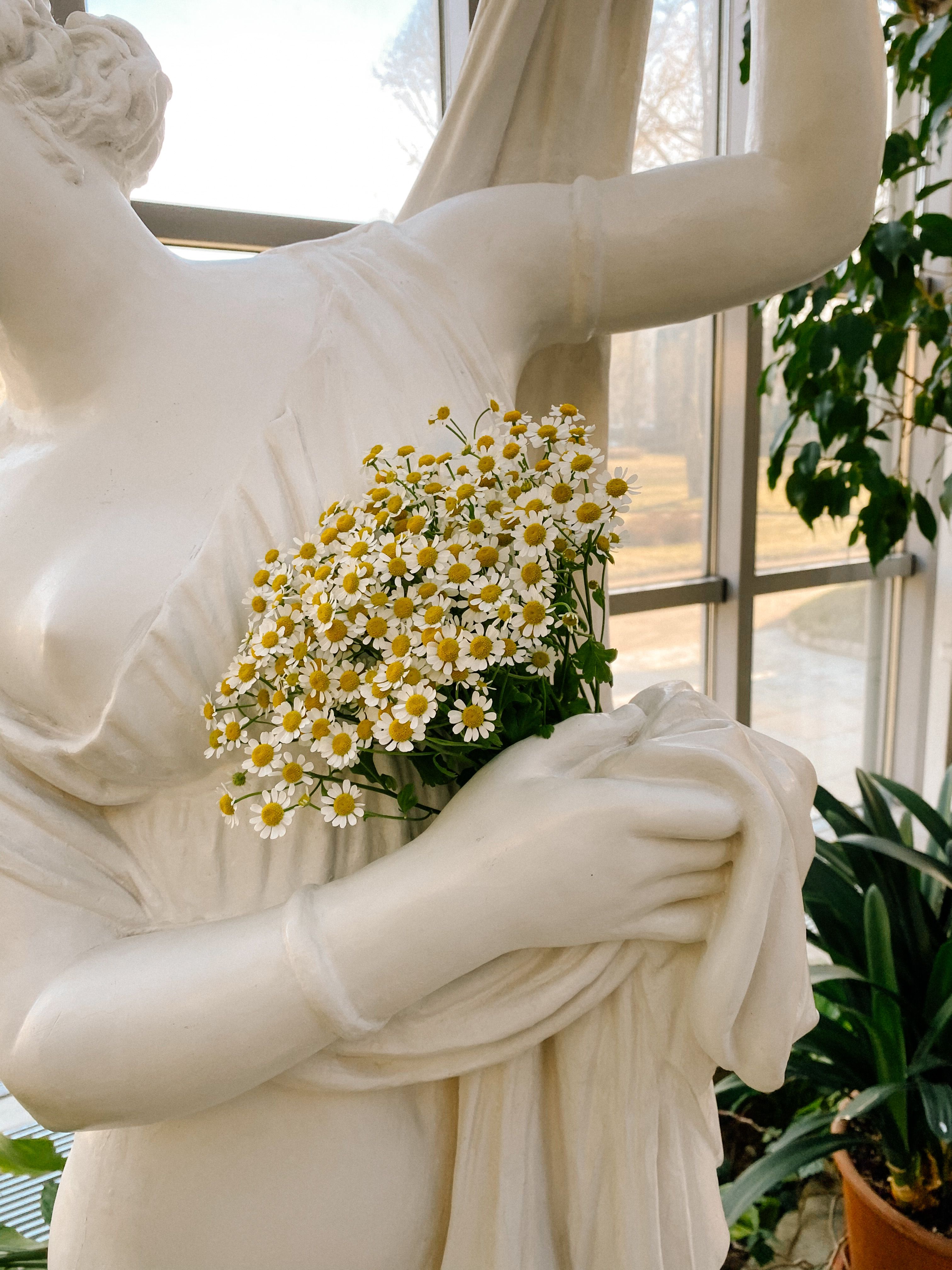Daisy Flowers on Statue's Hand · Free Stock Photo