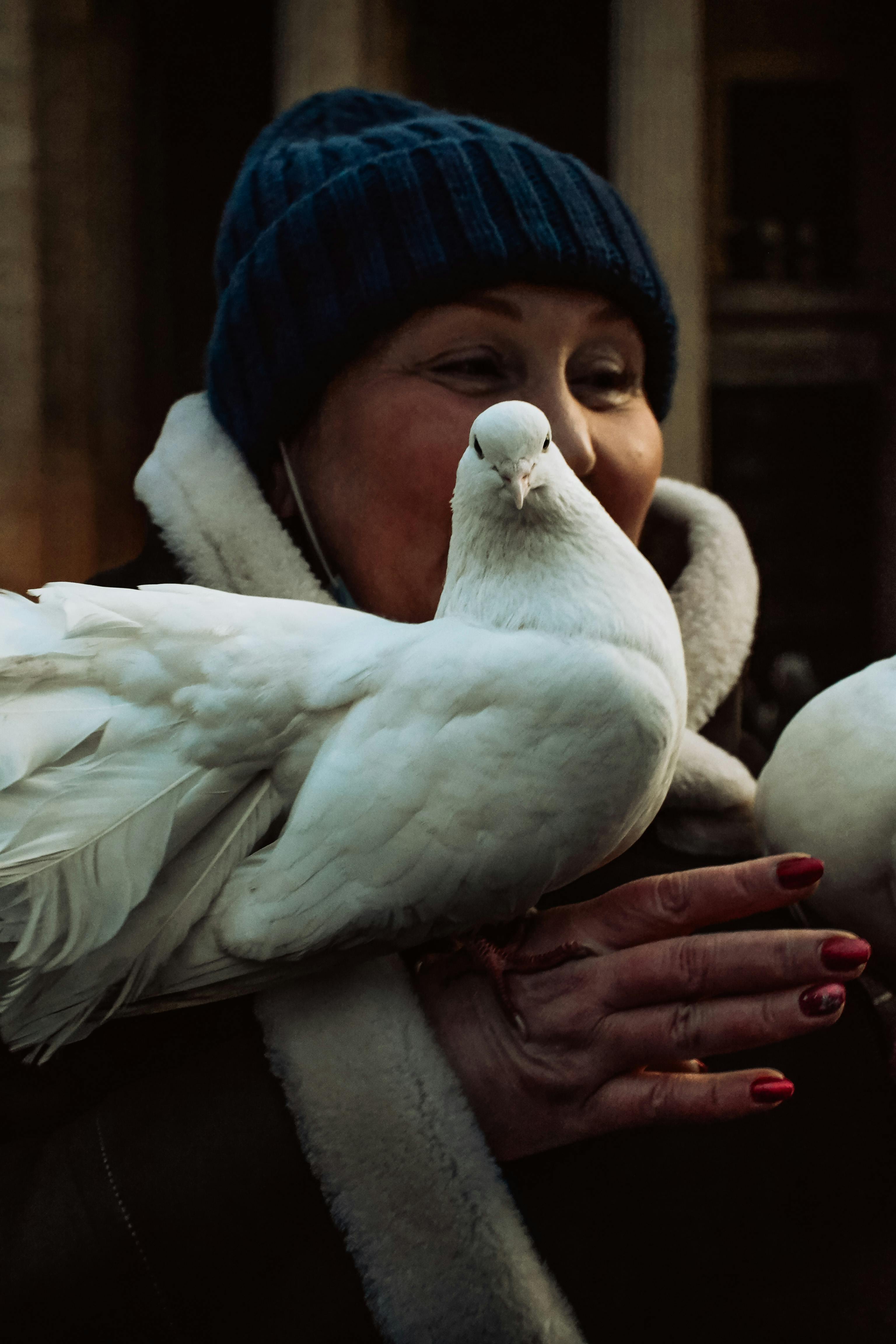 A Woman Holding White Dove · Free Stock Photo